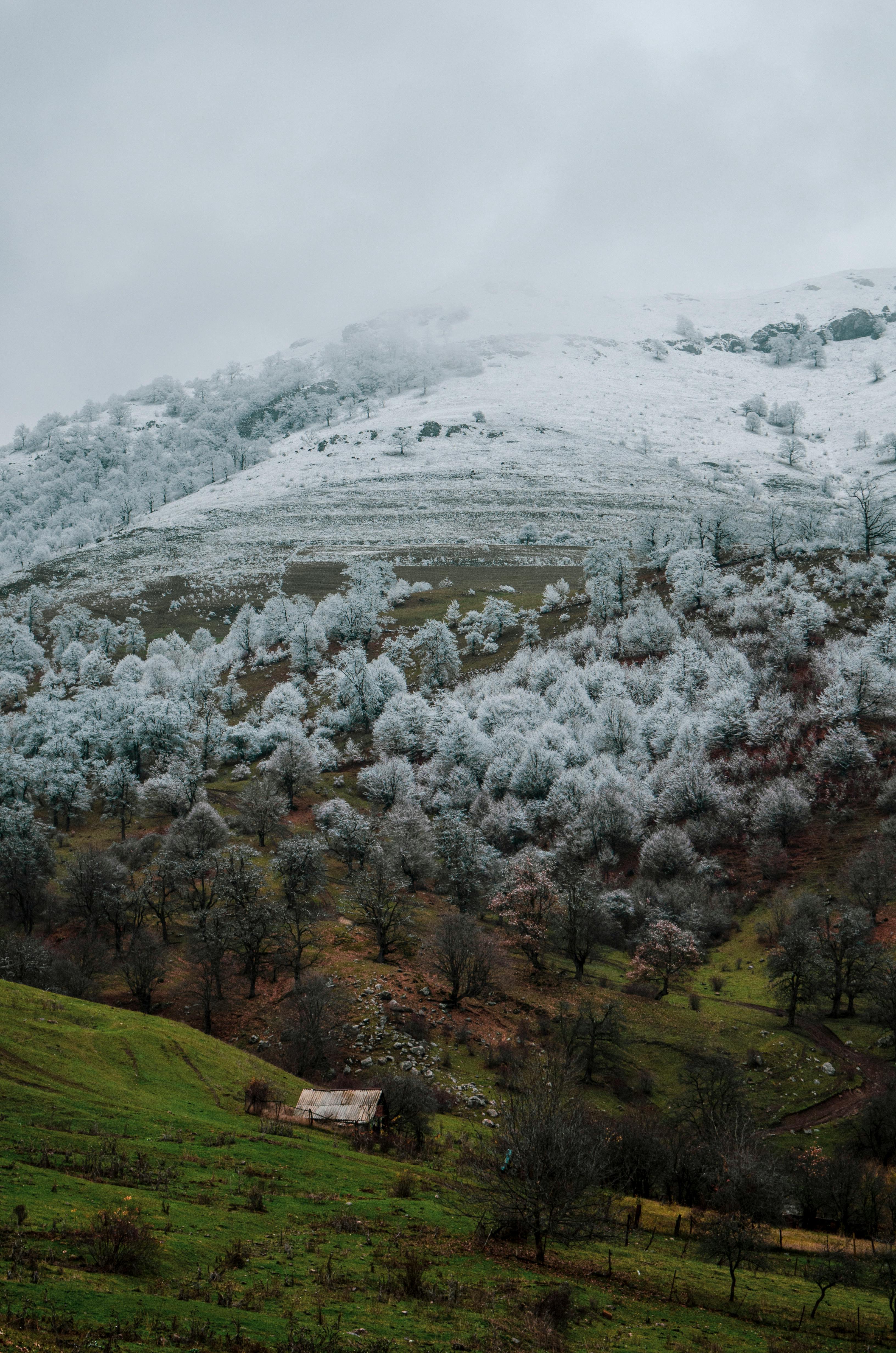 Snow on a Hill · Free Stock Photo