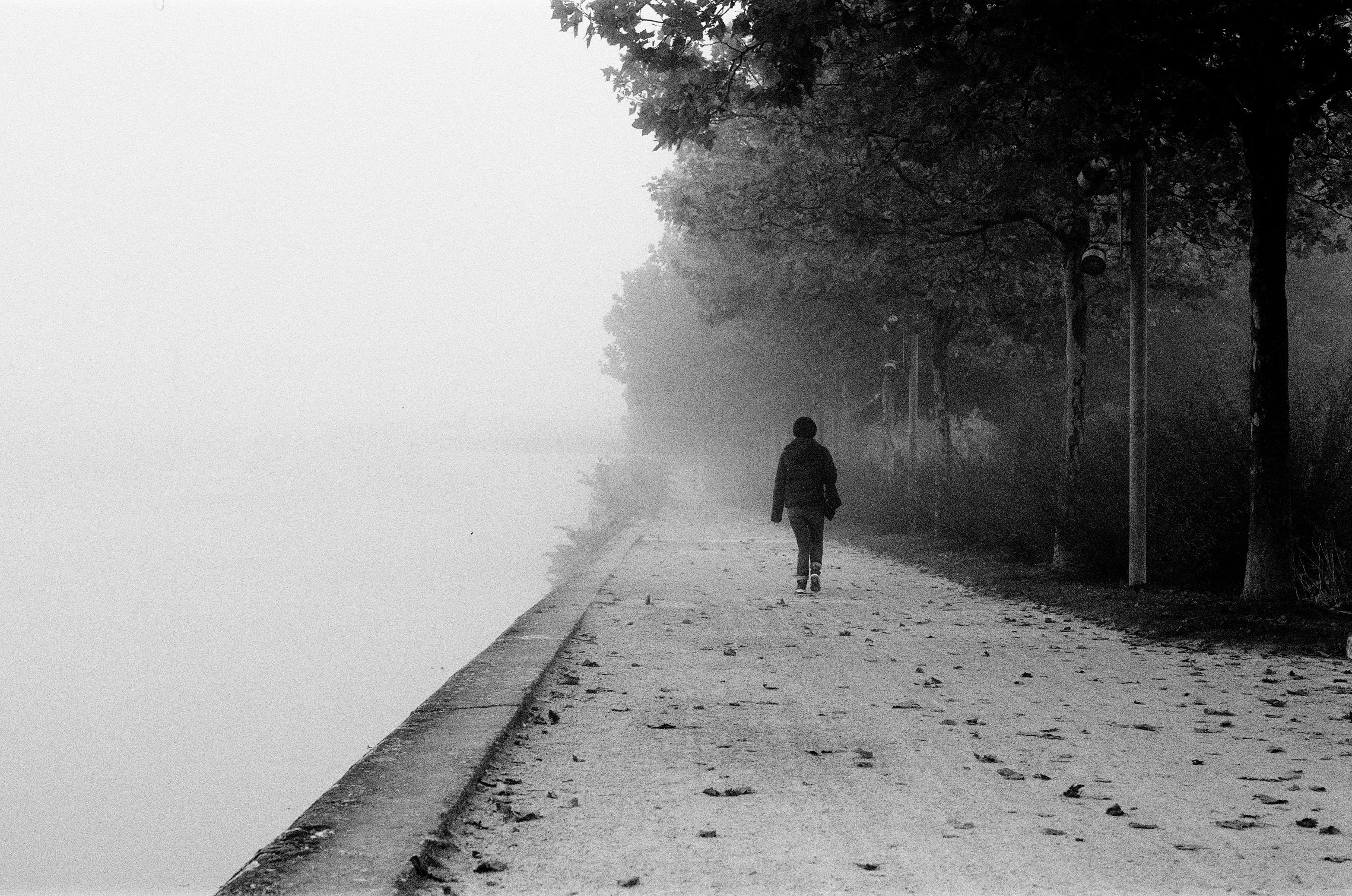 Grayscale Photo of Person Walking on Pathway · Free Stock Photo