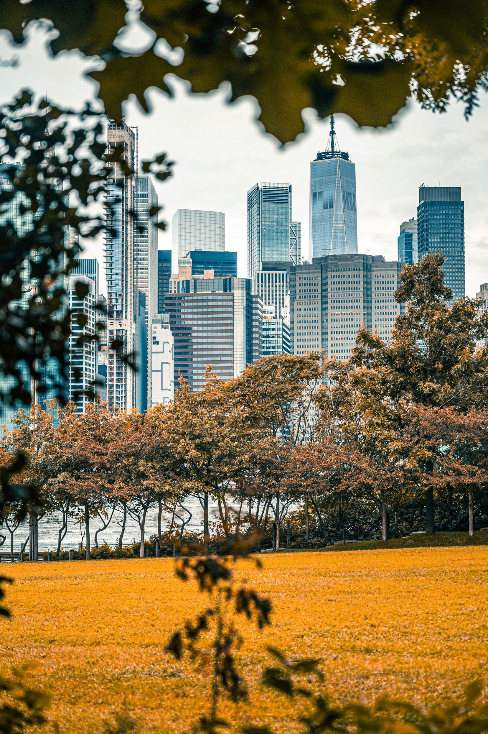 Autumn Trees Near City Buildings · Free Stock Photo