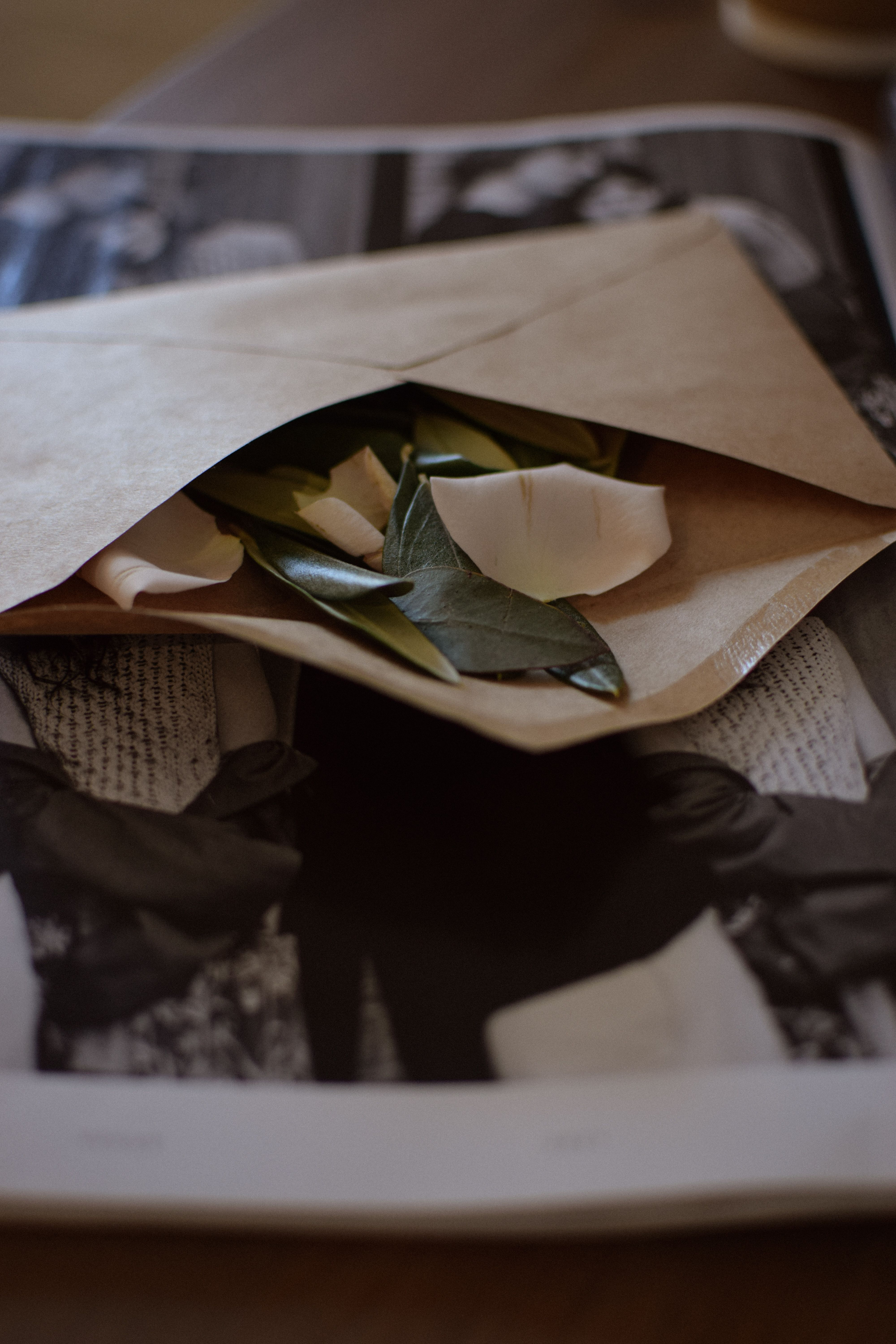 Open Envelope Photos, Download The BEST Free Open Envelope Stock Photos ...