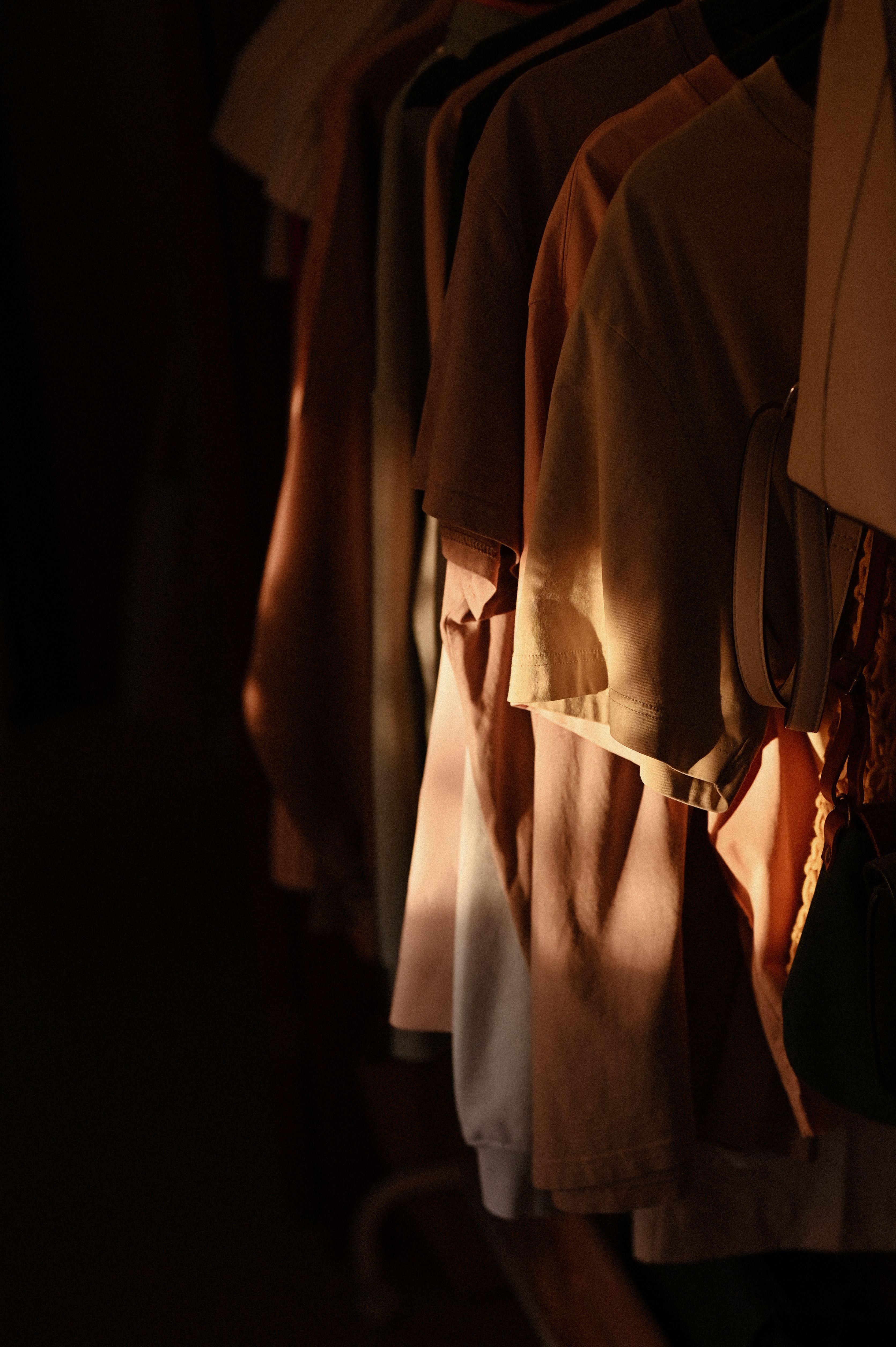Clothes Hanged on Clothes Hanger · Free Stock Photo