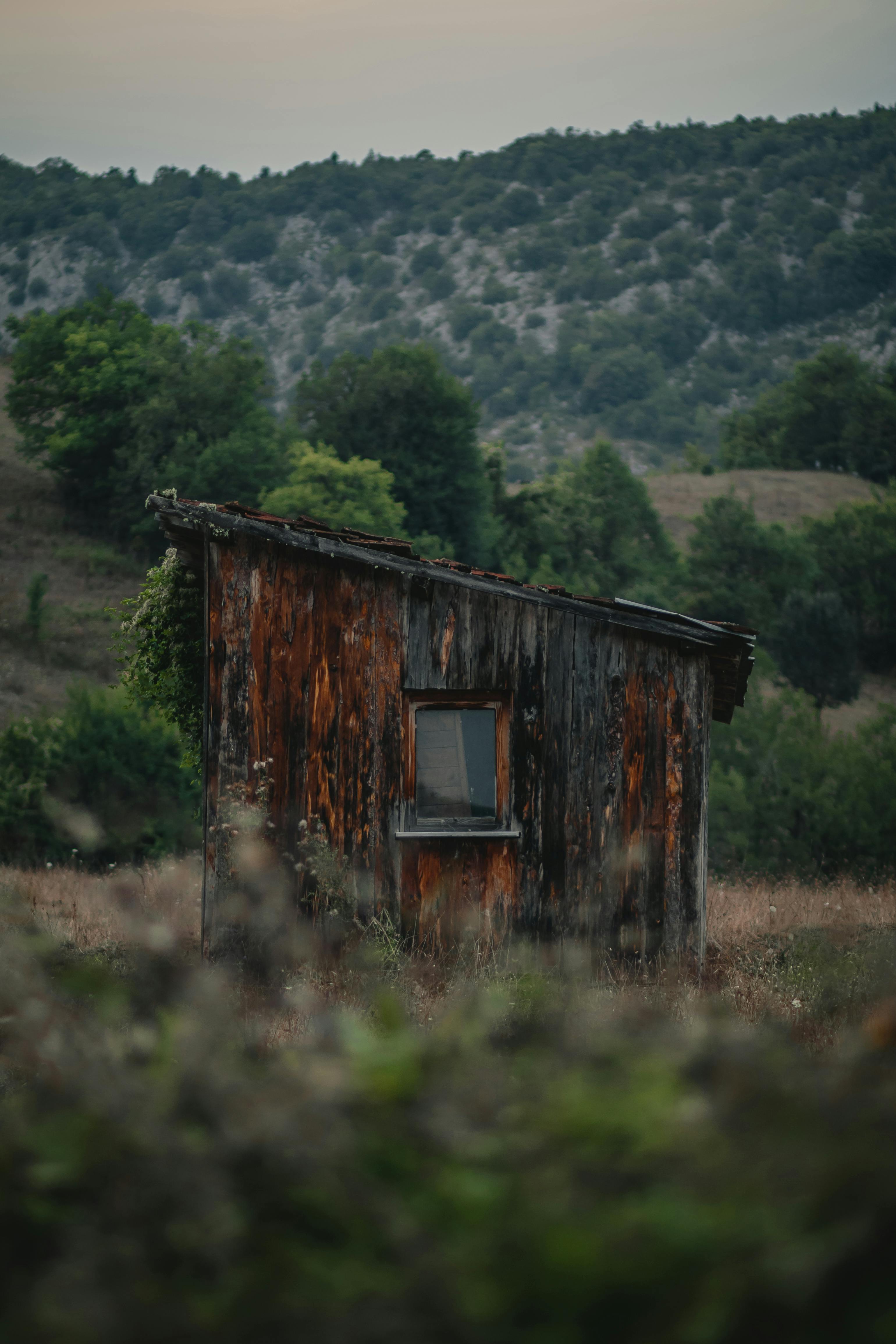Abandoned Wooden Cabin · Free Stock Photo