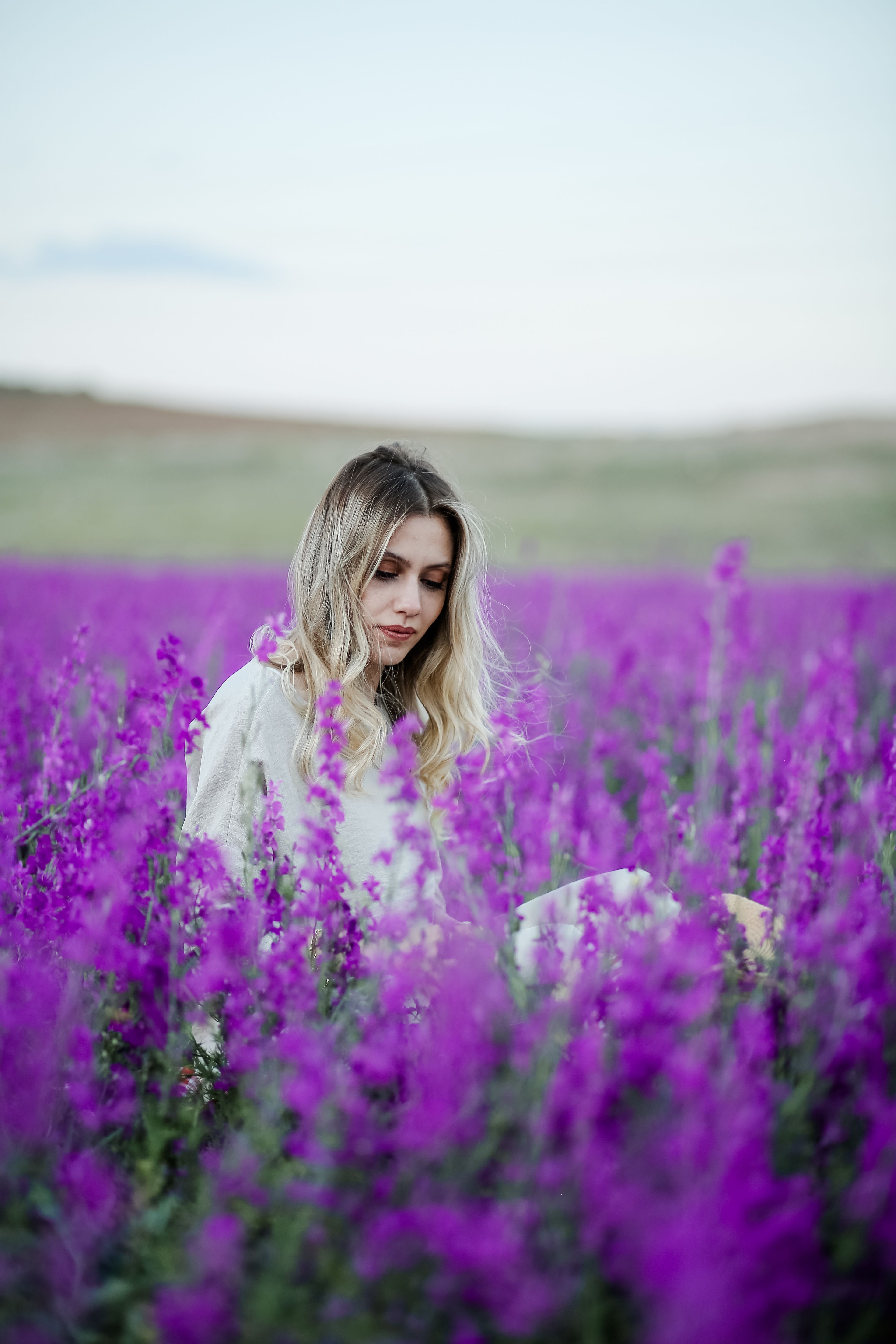 Photo of Woman in the Flower Field · Free Stock Photo