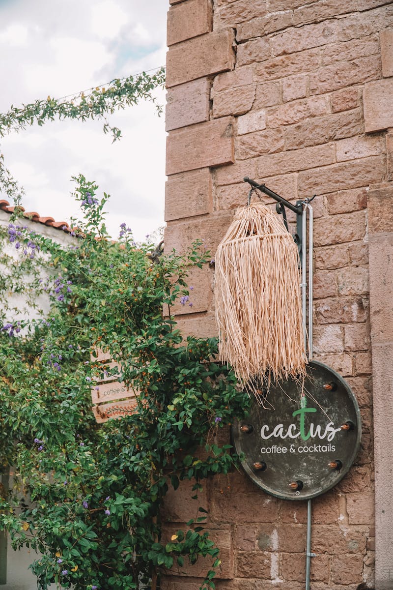 Pexels Logo Photos, Download Free Pexels Logo Stock Photos & HD Images