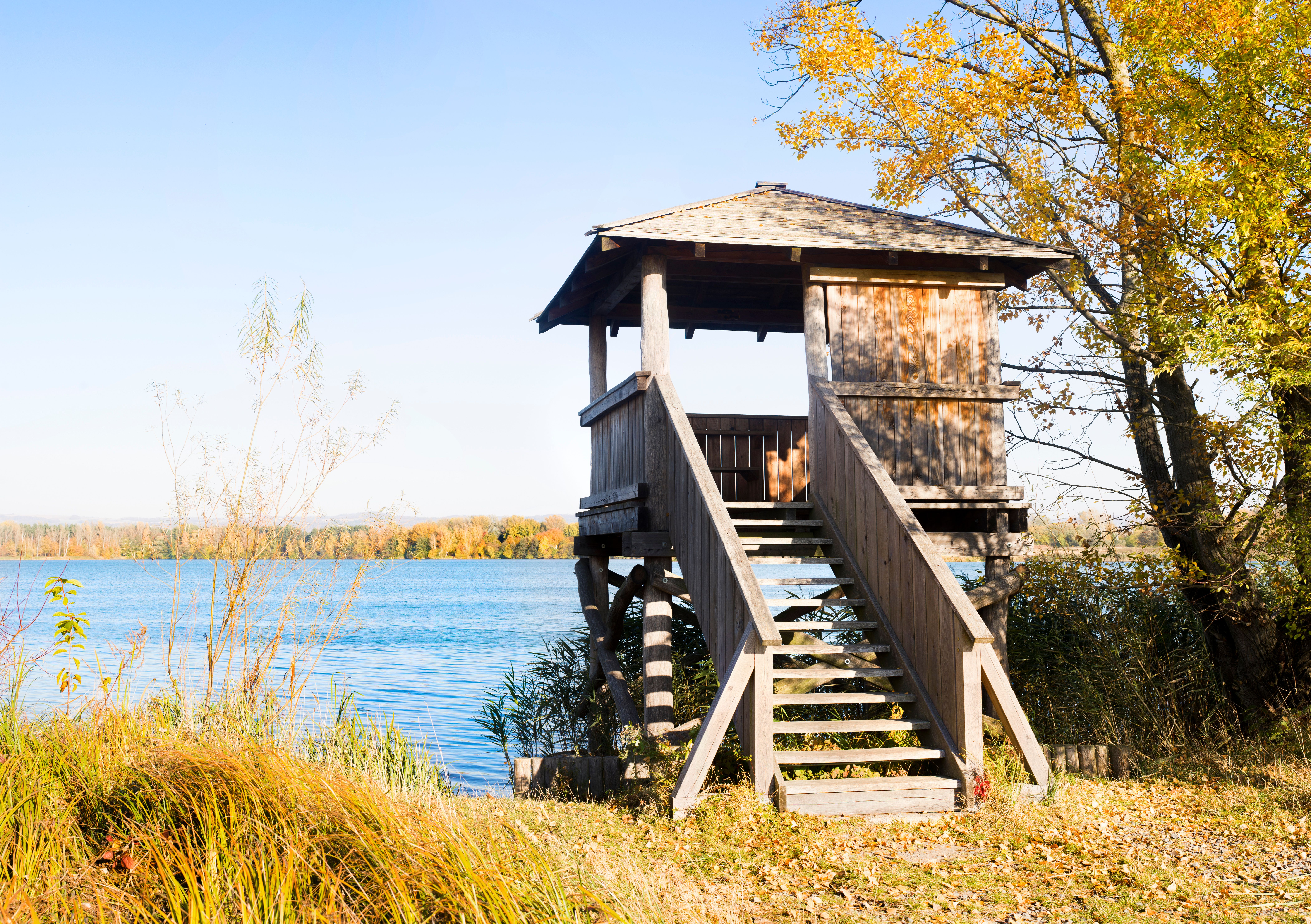 Wooden Observation Point on Lakeshore · Free Stock Photo