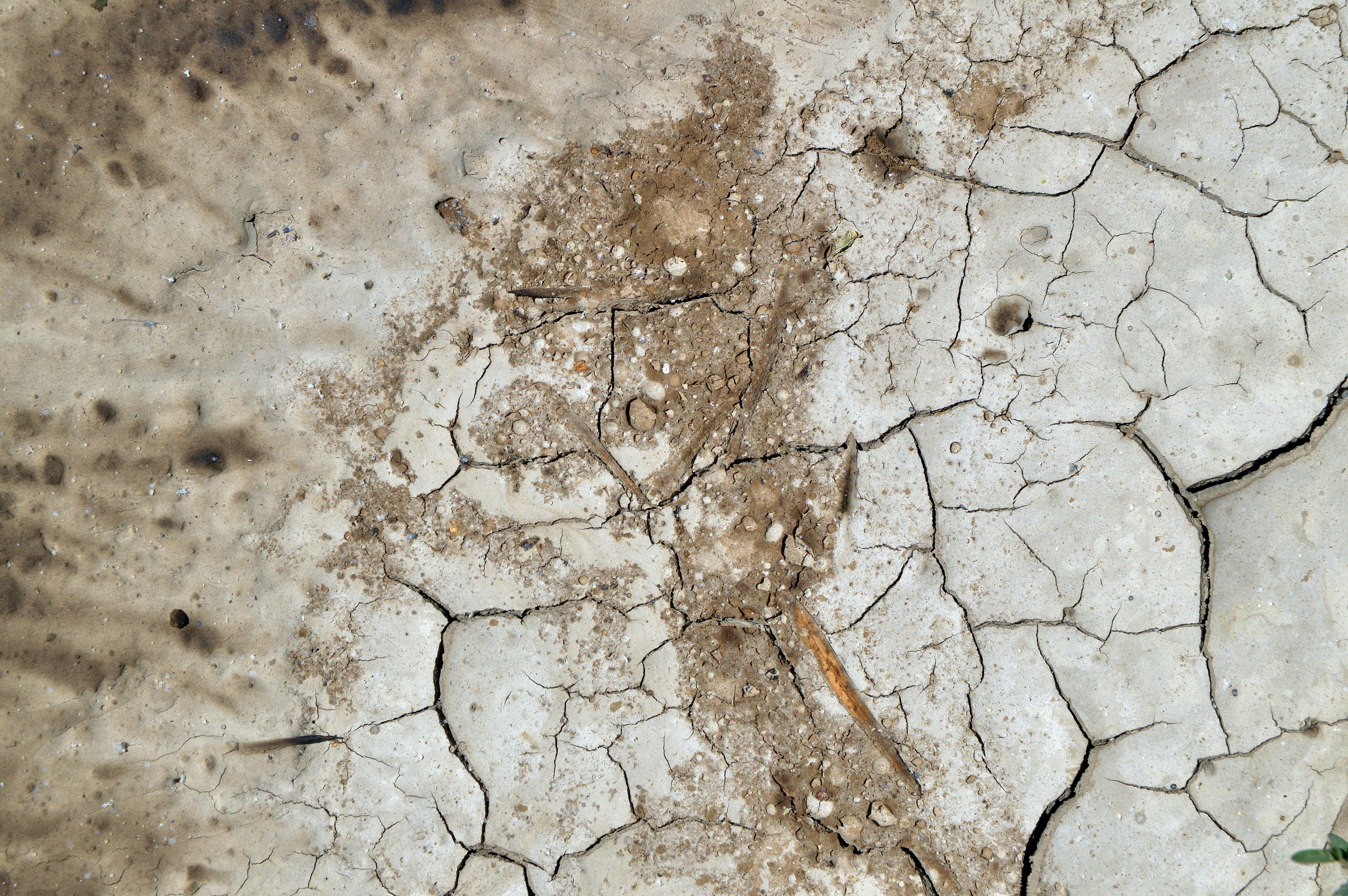 Davis Vidal - 写真