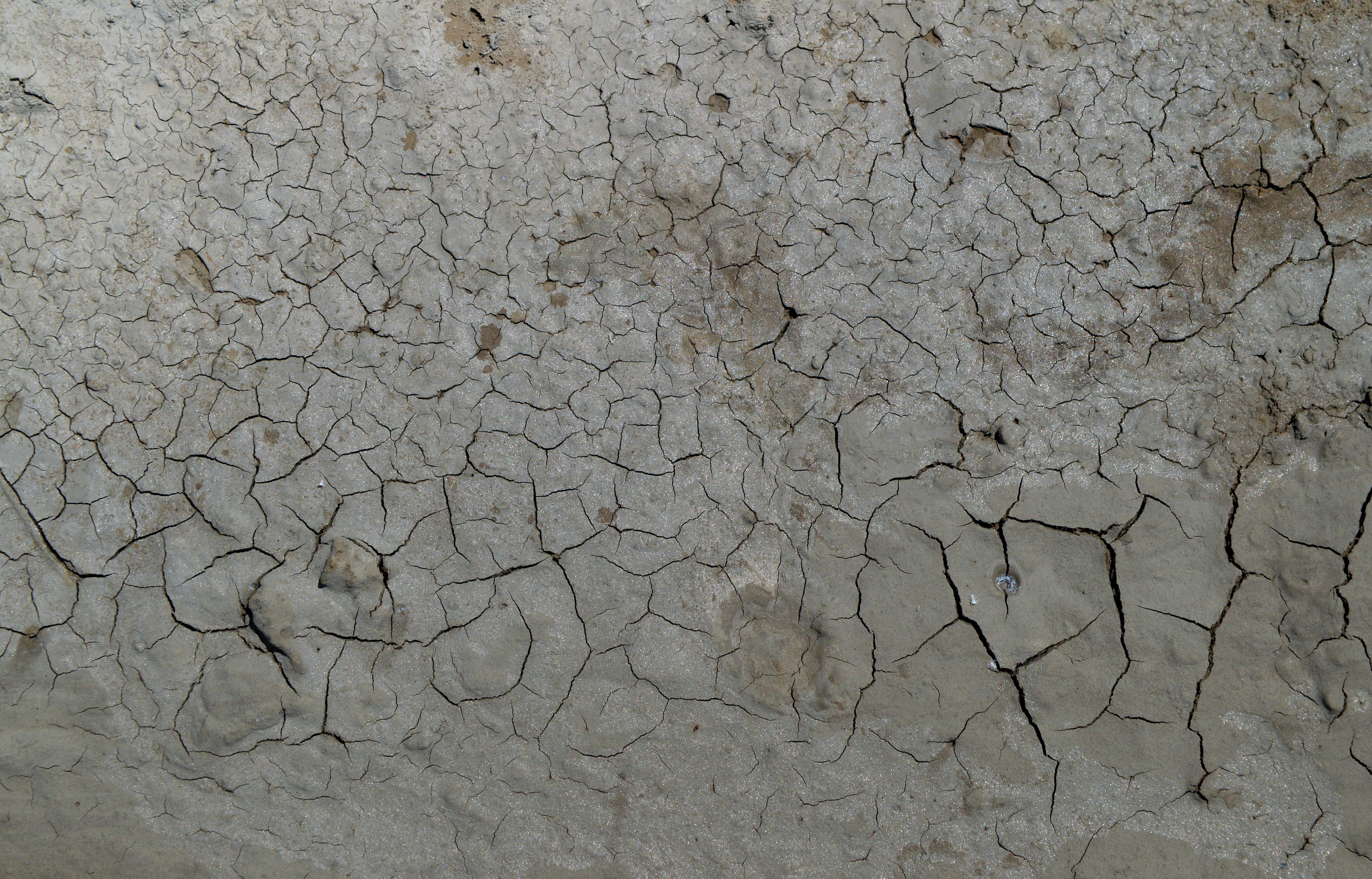 Davis Vidal - 写真