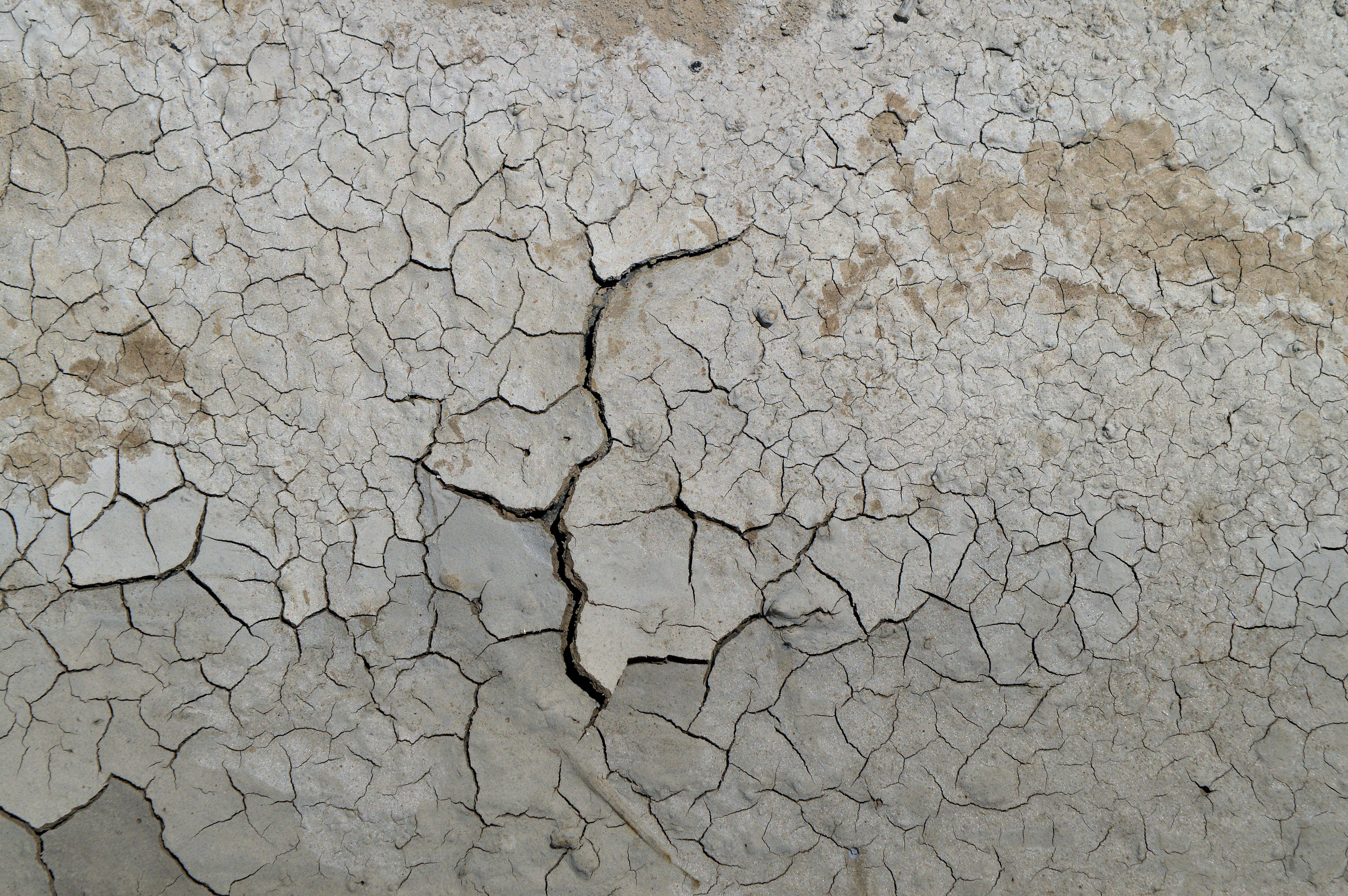 Davis Vidal - 写真