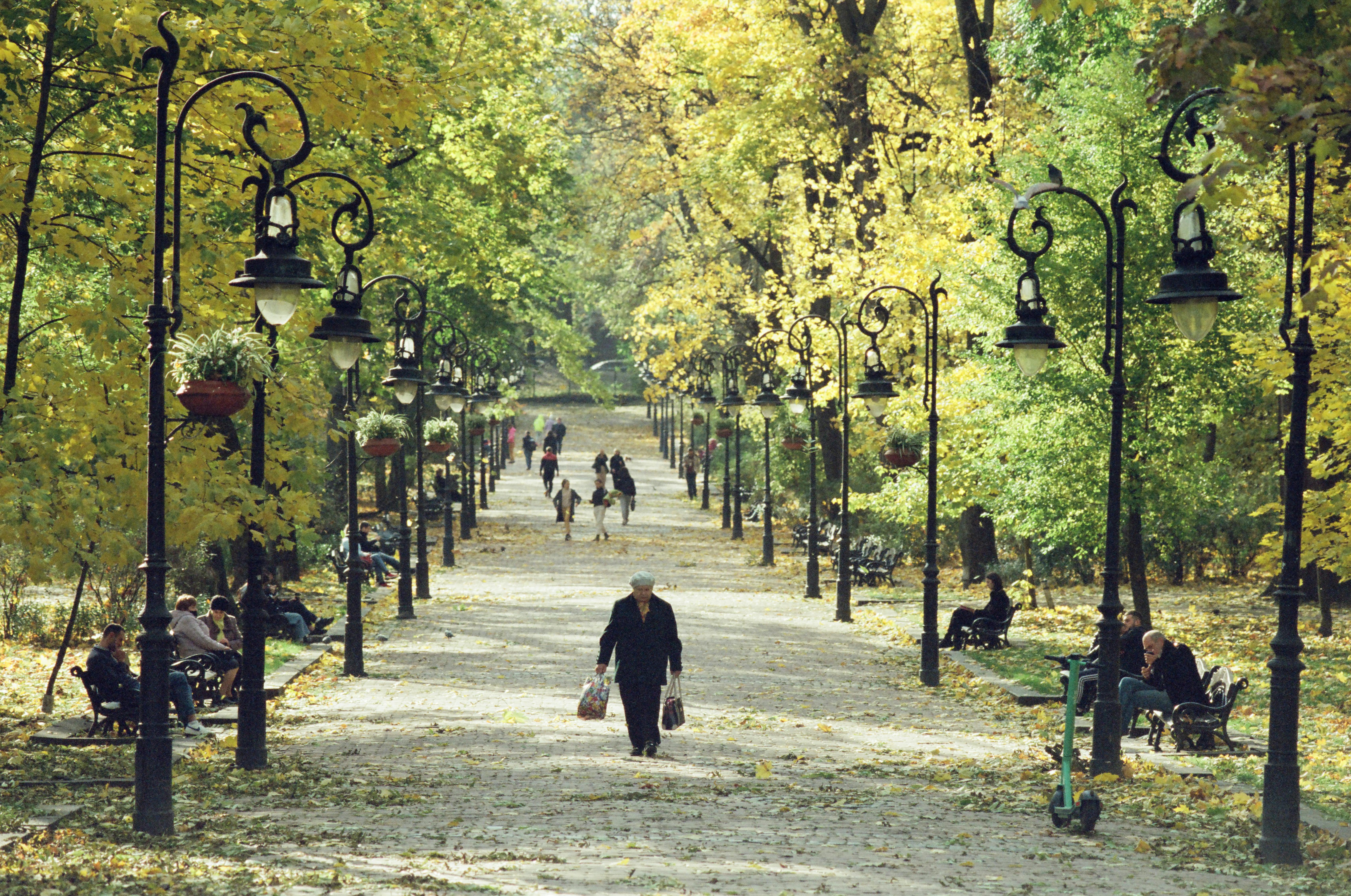 People Walking in Park · Free Stock Photo