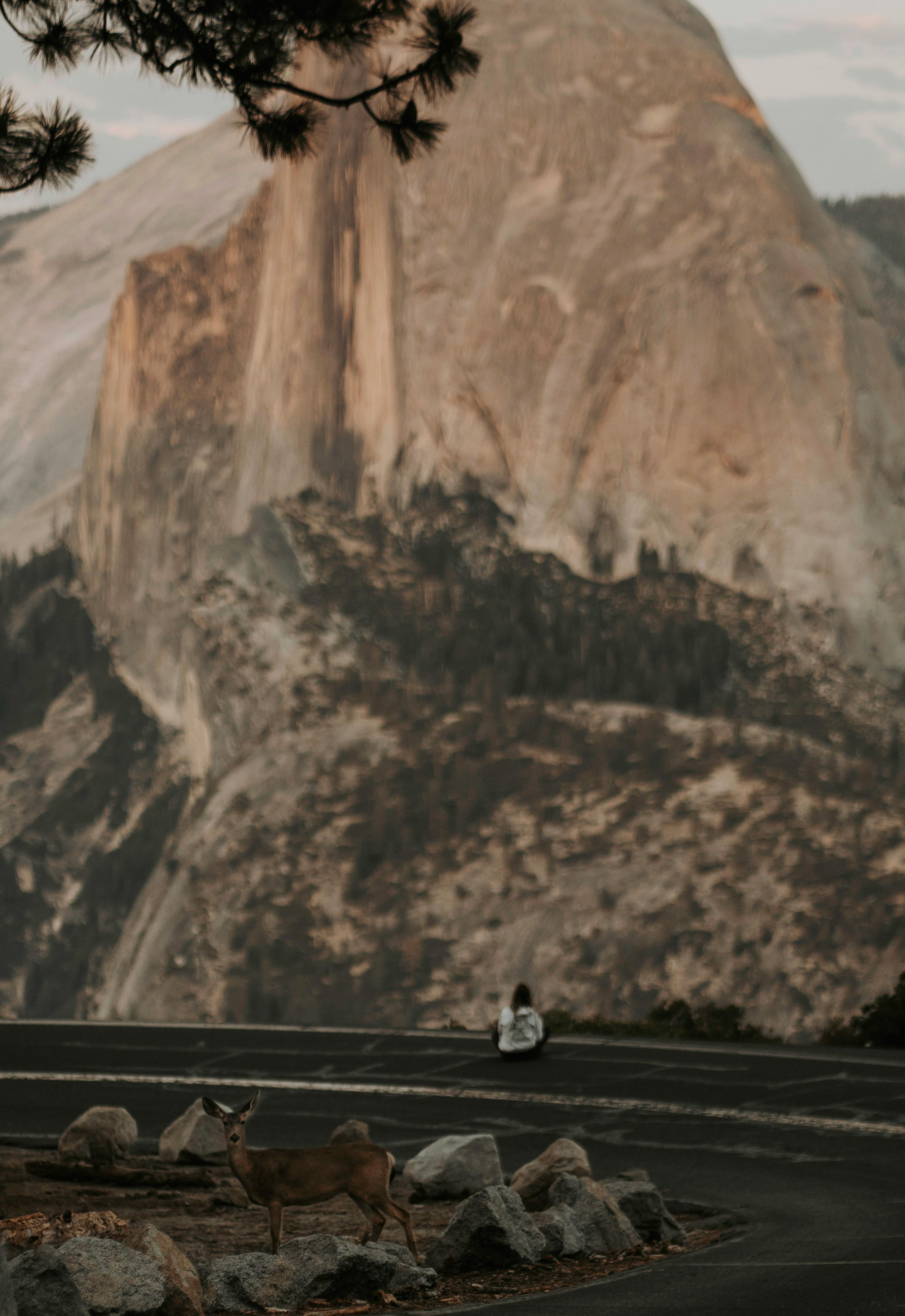 Man Standing on a Cliff Overlooking the Roads · Free Stock Photo