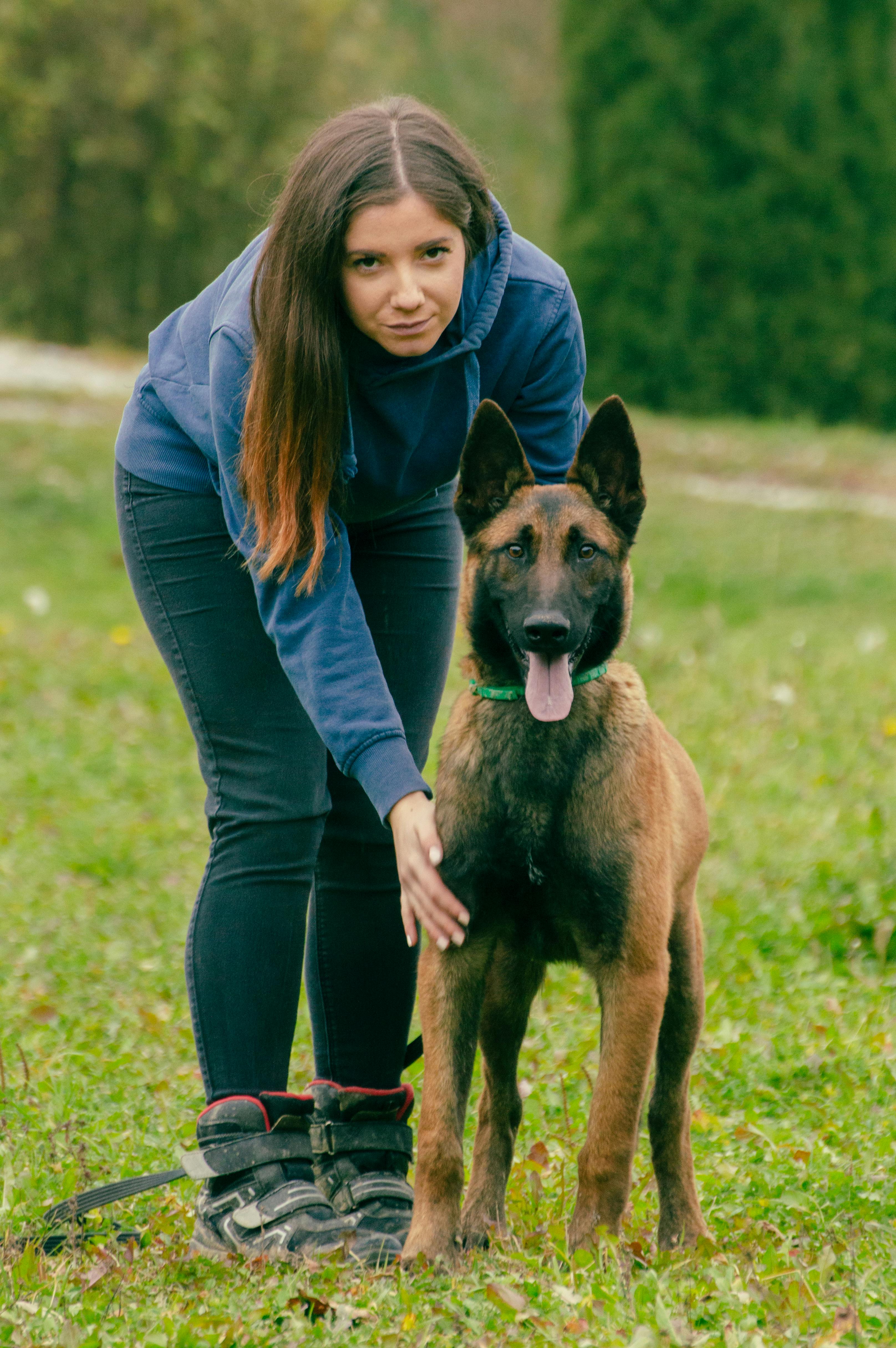 Belgian Malinois Photos, Download The BEST Free Belgian Malinois Stock ...