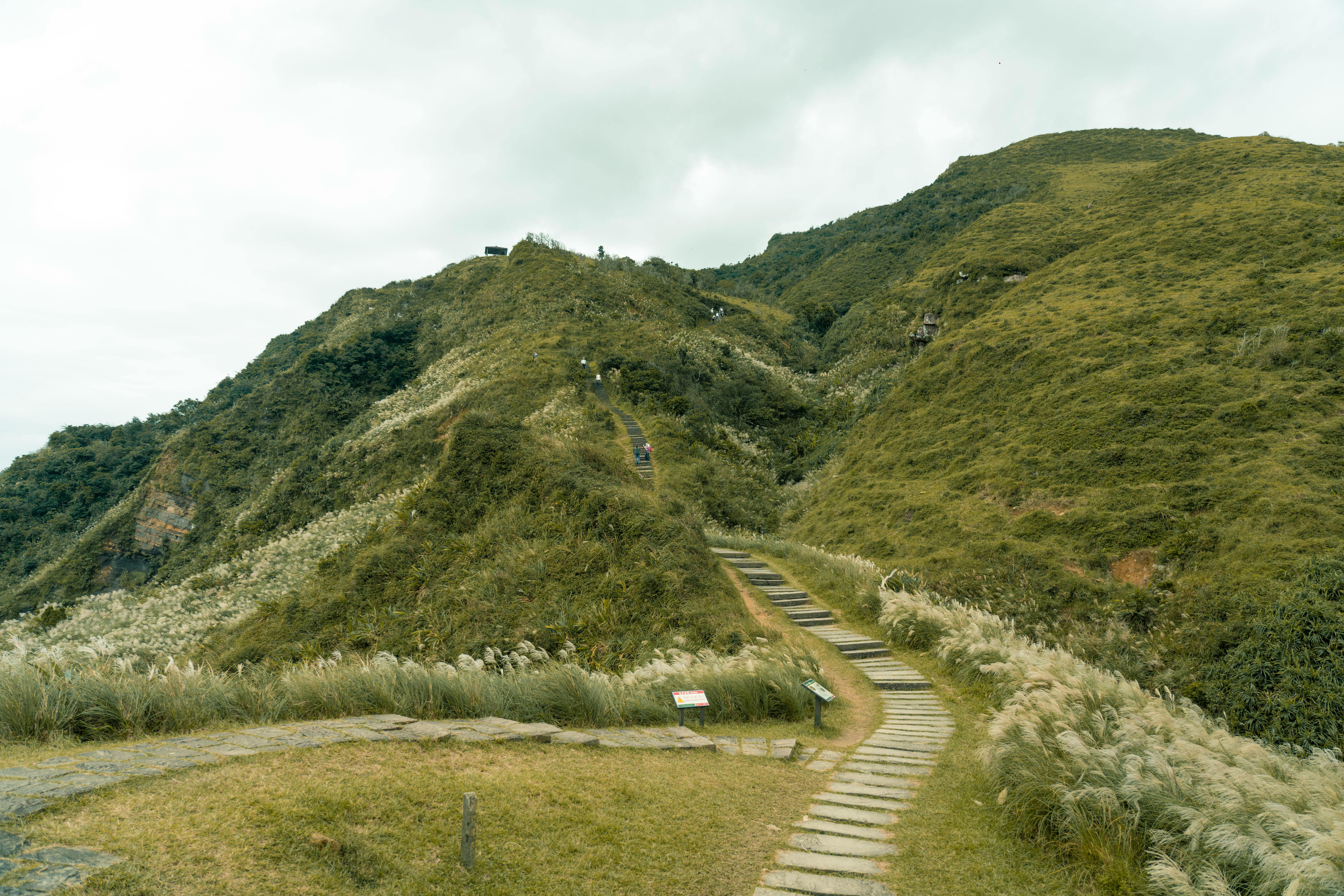 A Narrow Walkway Through the Top of the Mountain · Free Stock Photo