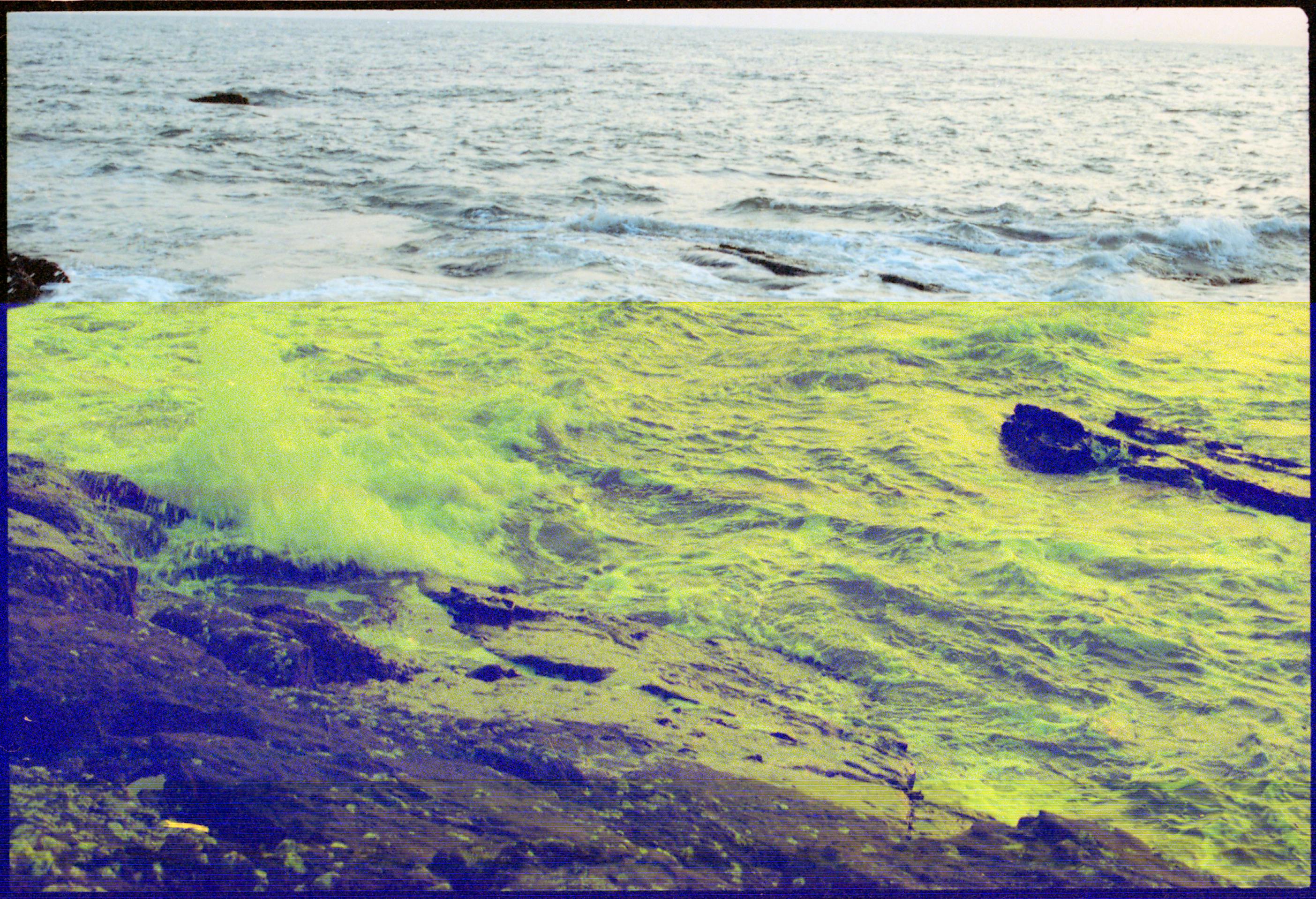 Photo of a Sea Wave · Free Stock Photo