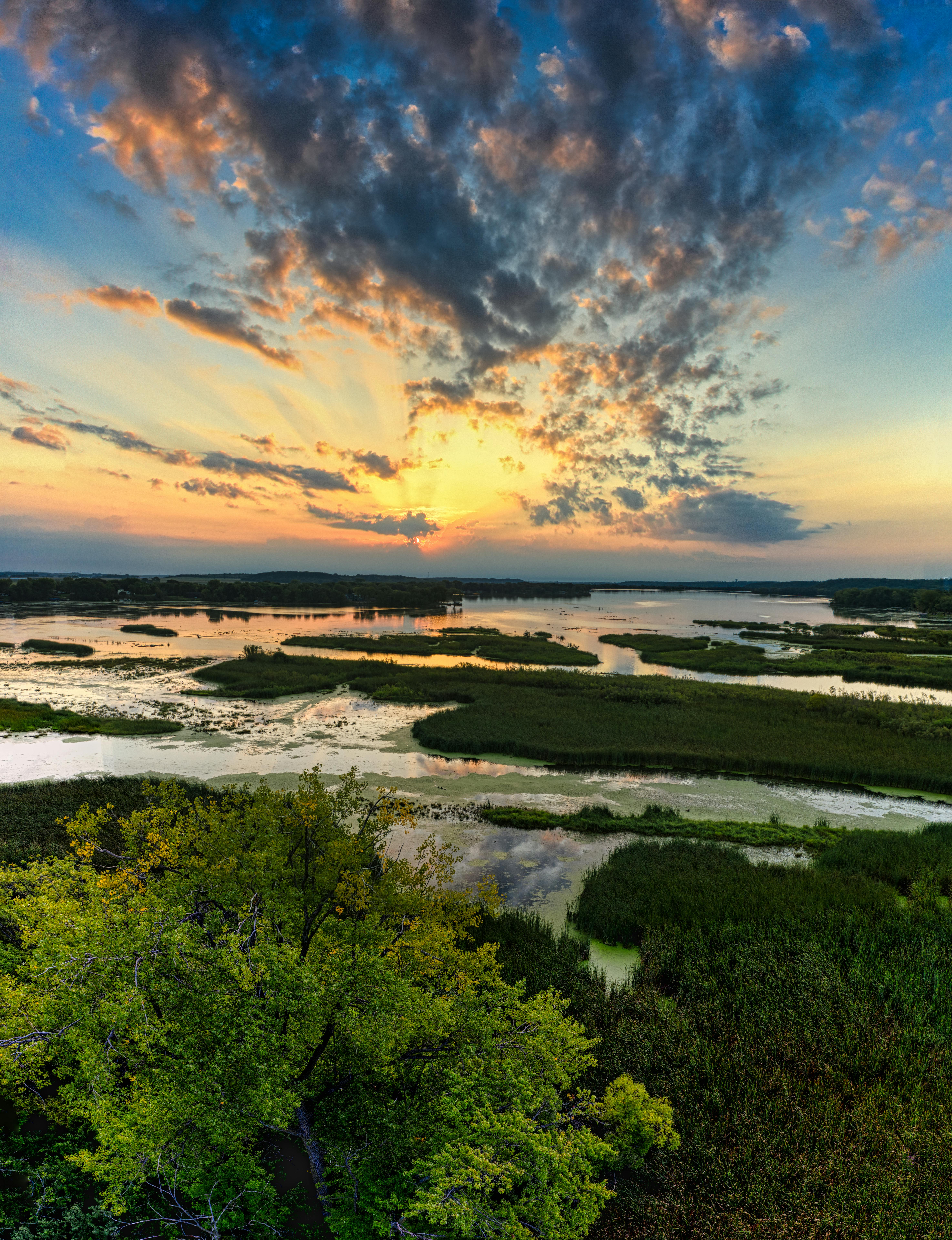 Landscape of Wetlands under a Sunset Sky · Free Stock Photo
