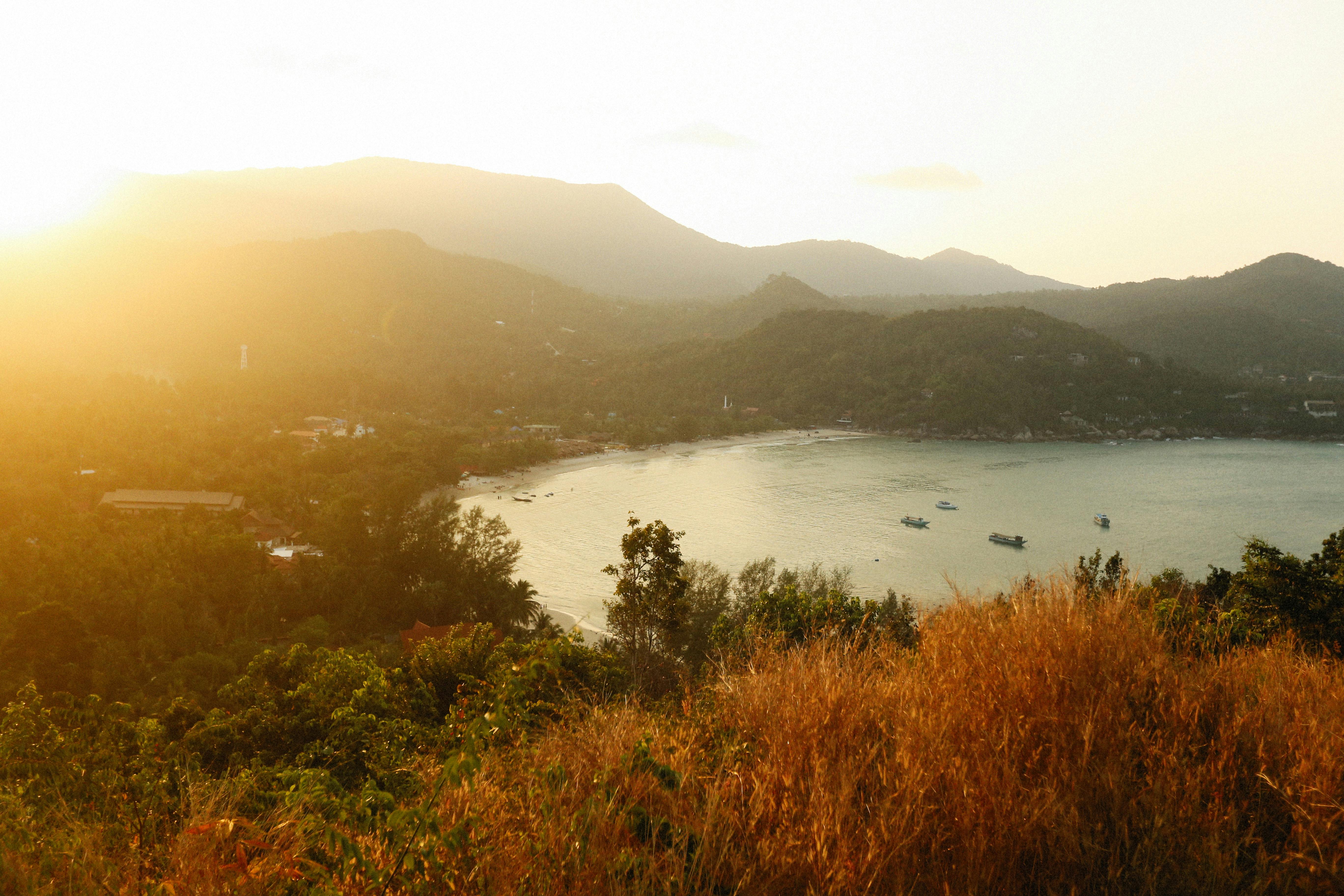 Tree Cove Photos, Download The BEST Free Tree Cove Stock Photos & HD Images