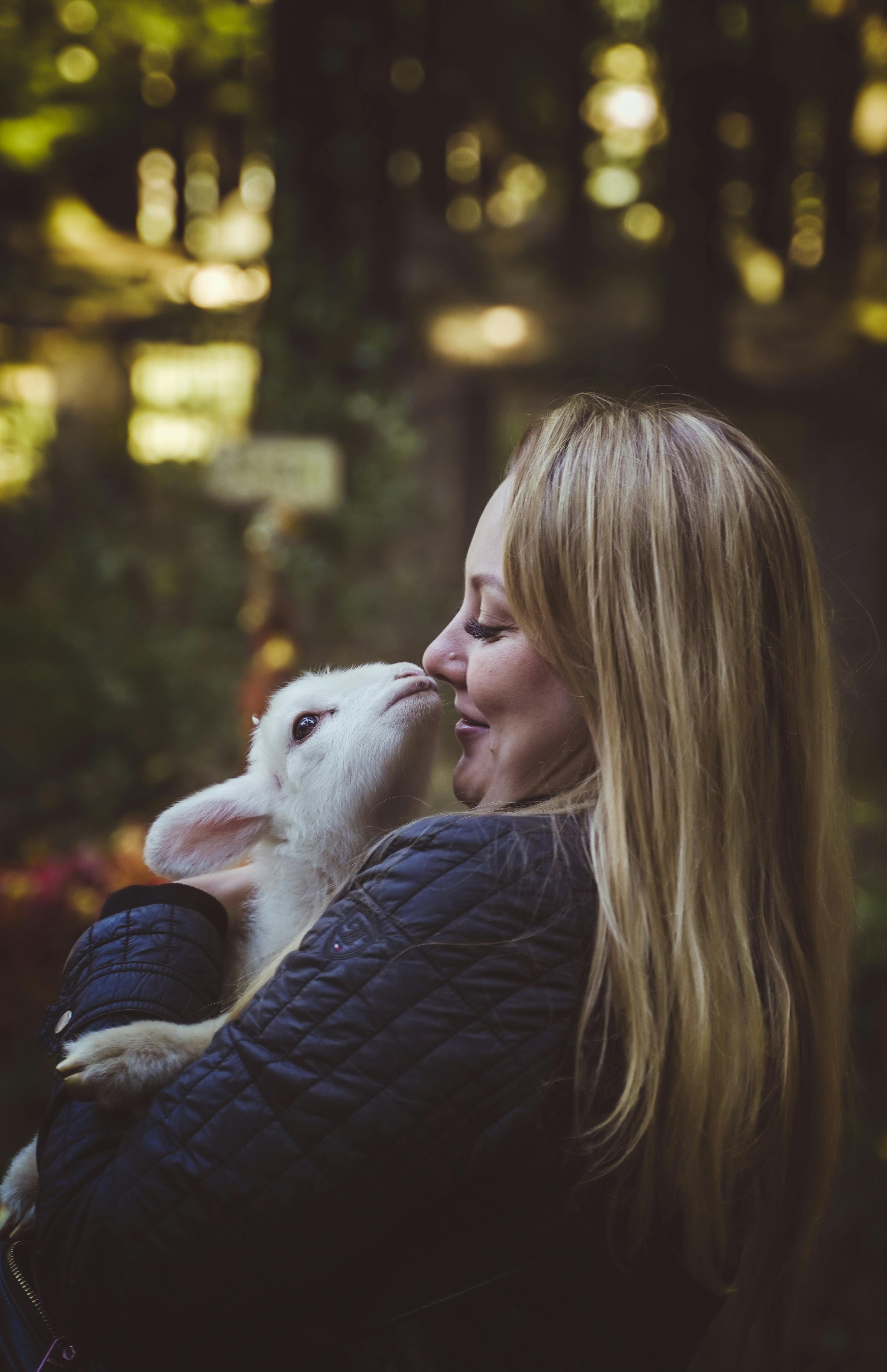 Hugging Goat Photos, Download The BEST Free Hugging Goat Stock Photos ...