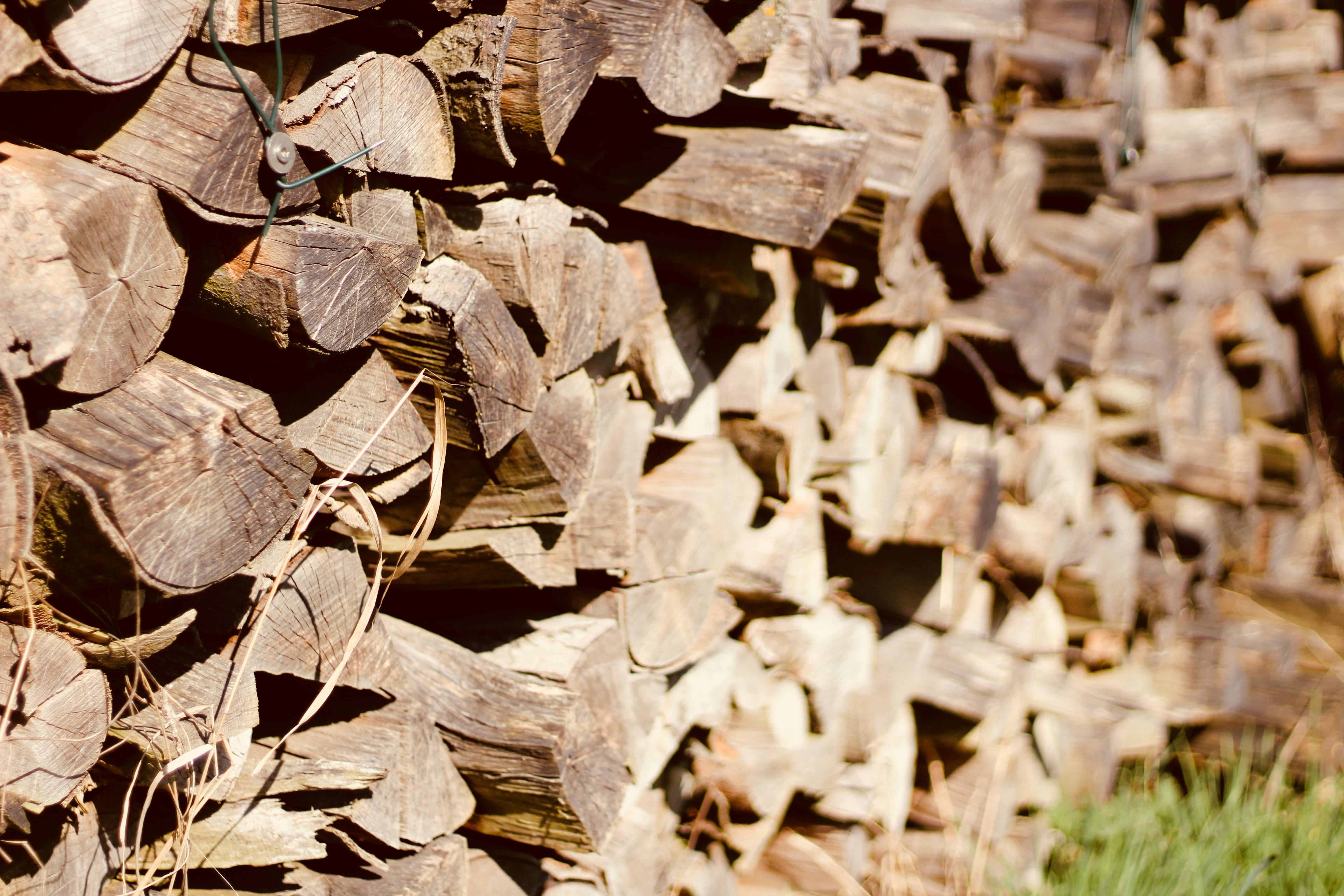 Photo of Piled Firewood · Free Stock Photo