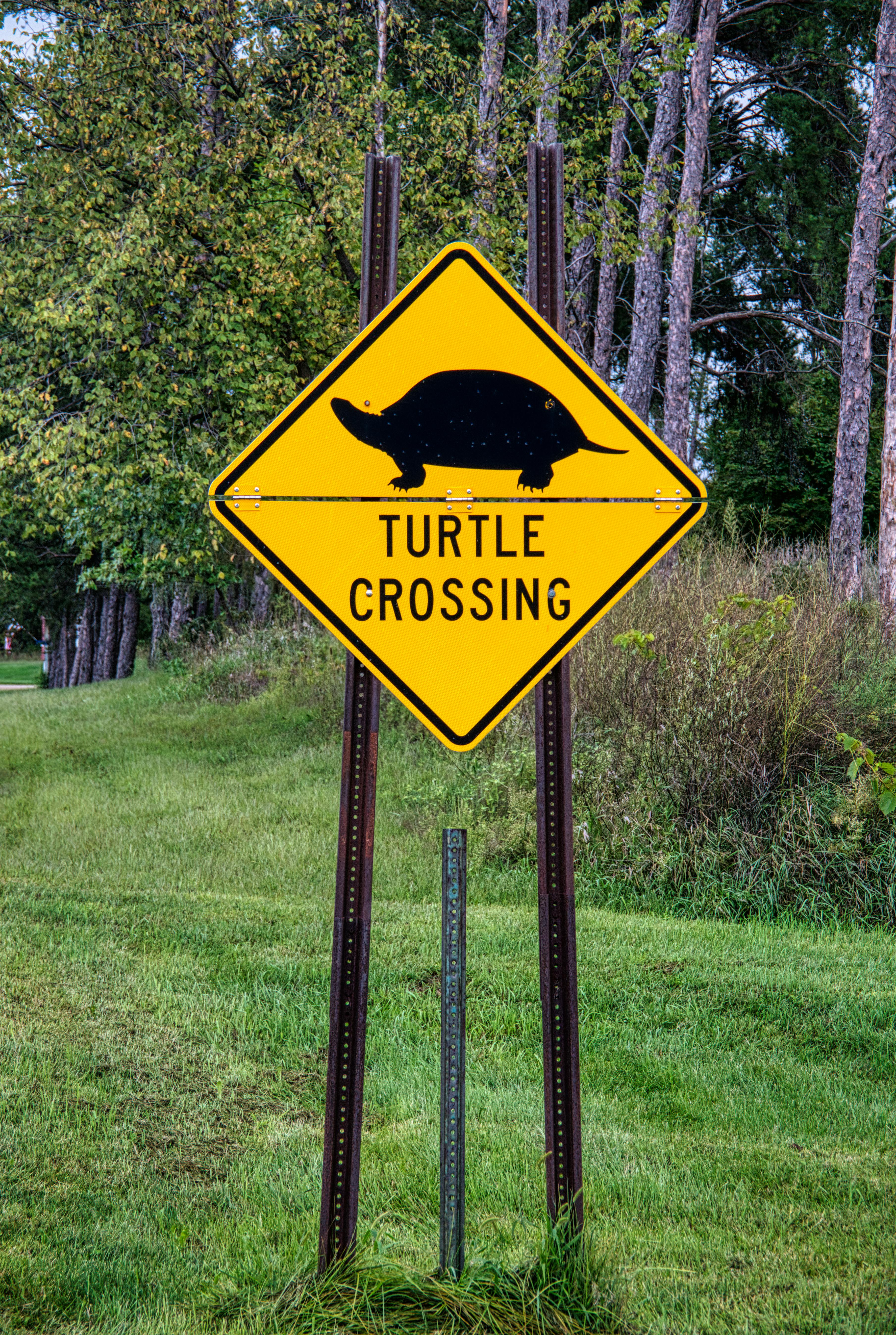 Turtle Road Crossing Sign on Green Grass · Free Stock Photo