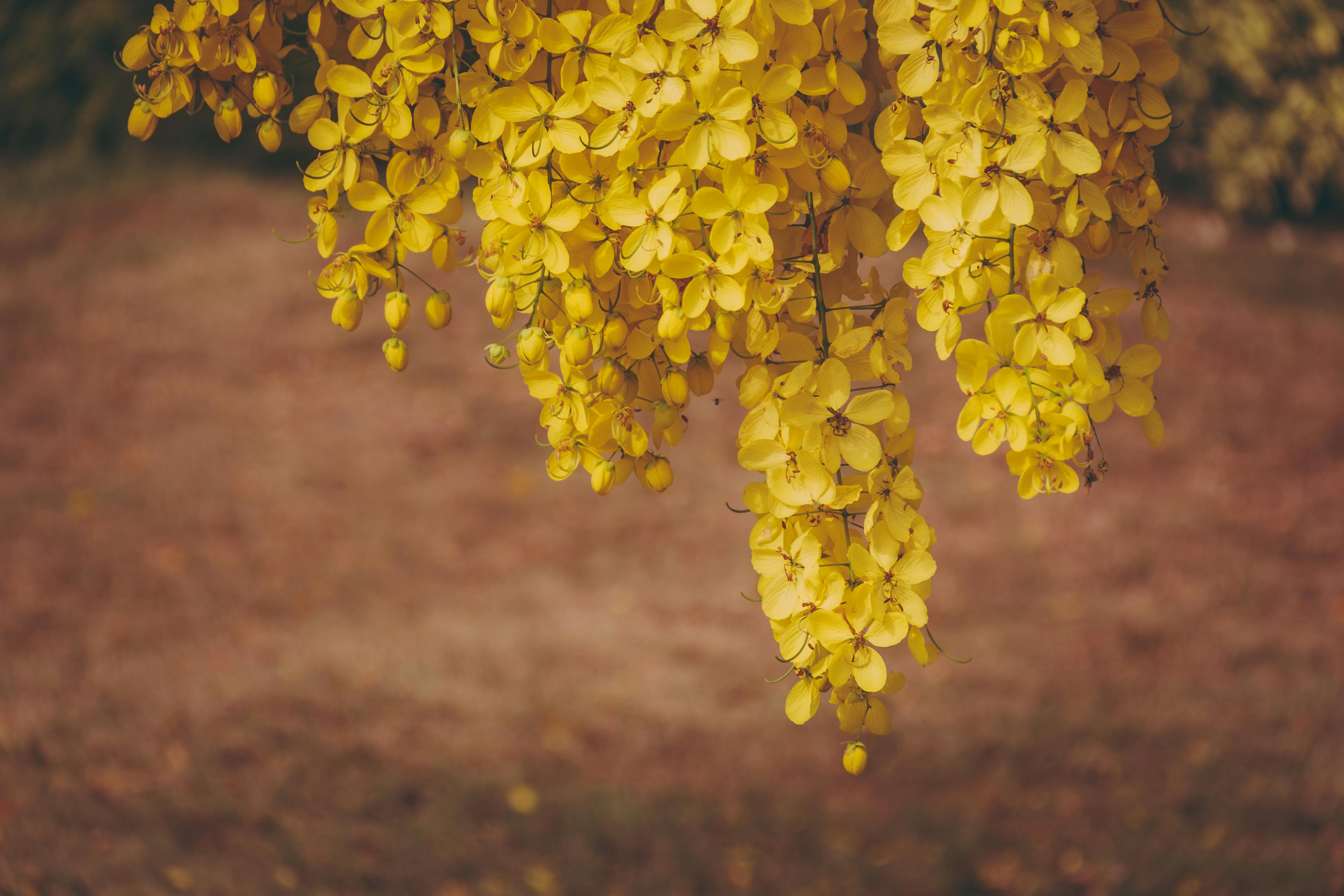 70+ Perianal+fistula+vedio Bilder und Fotos · Kostenlos Downloaden ...