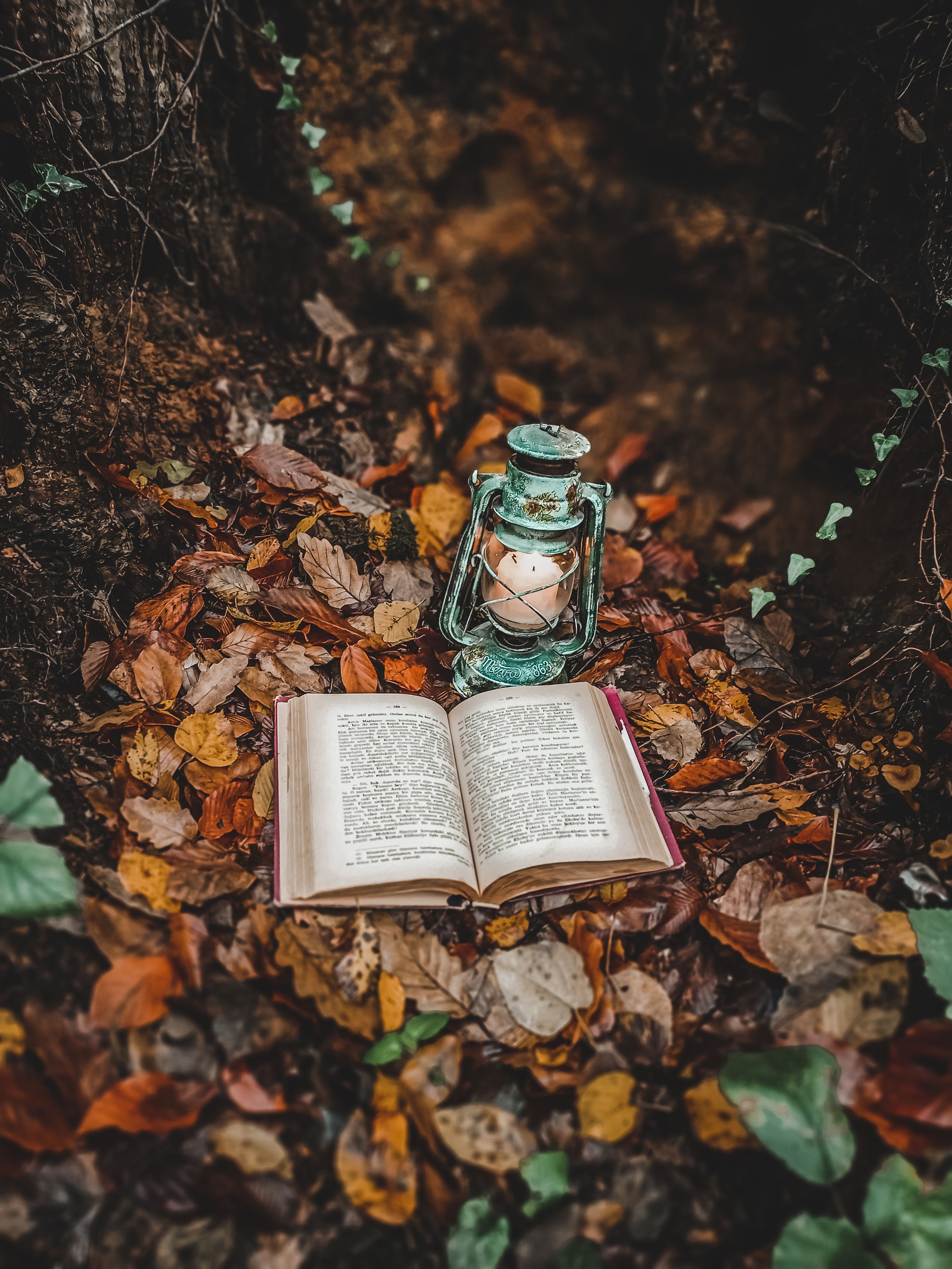 Wet Pages Photos, Download The BEST Free Wet Pages Stock Photos & HD Images
