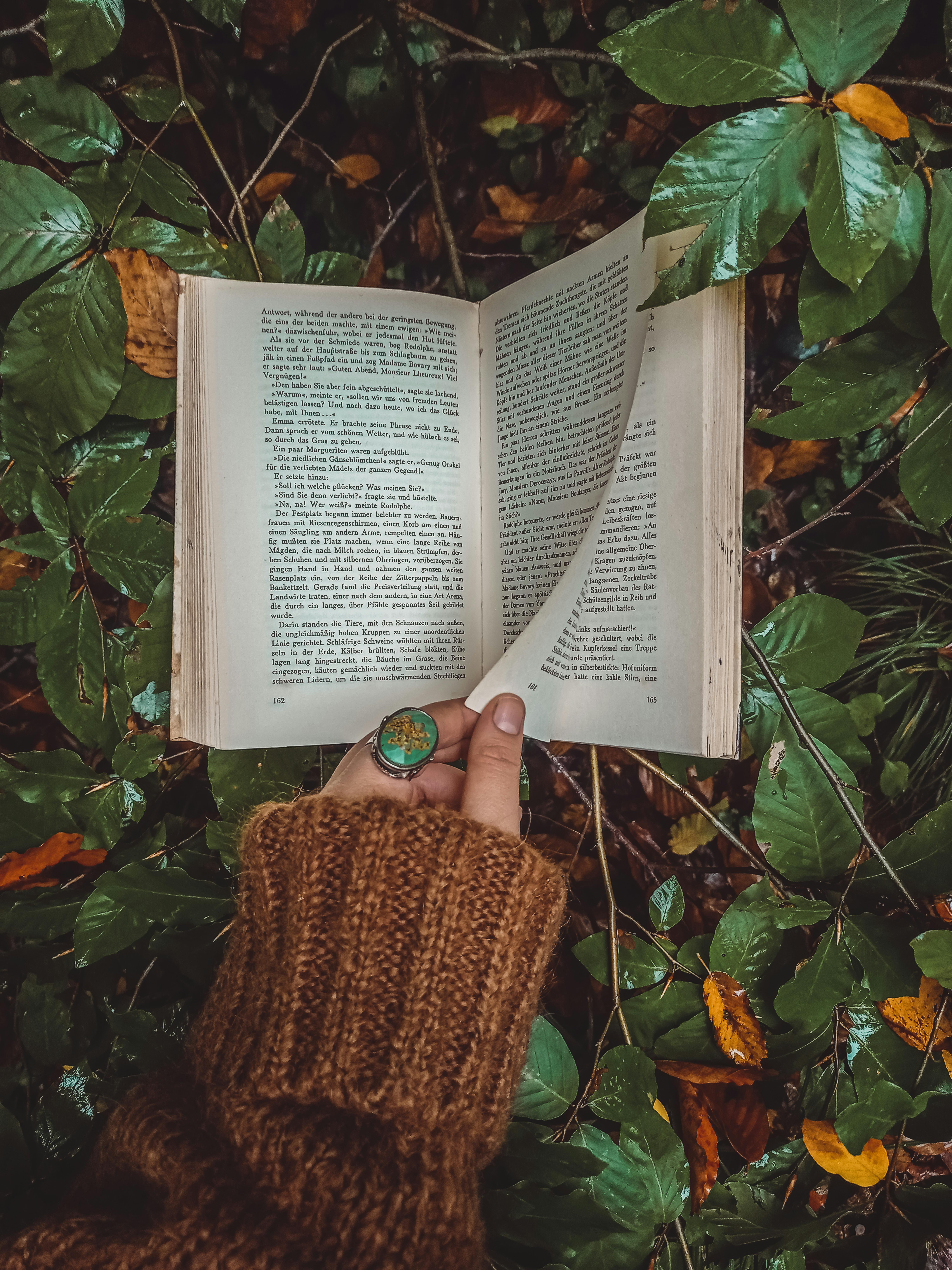 A Person Touching the Open Book · Free Stock Photo