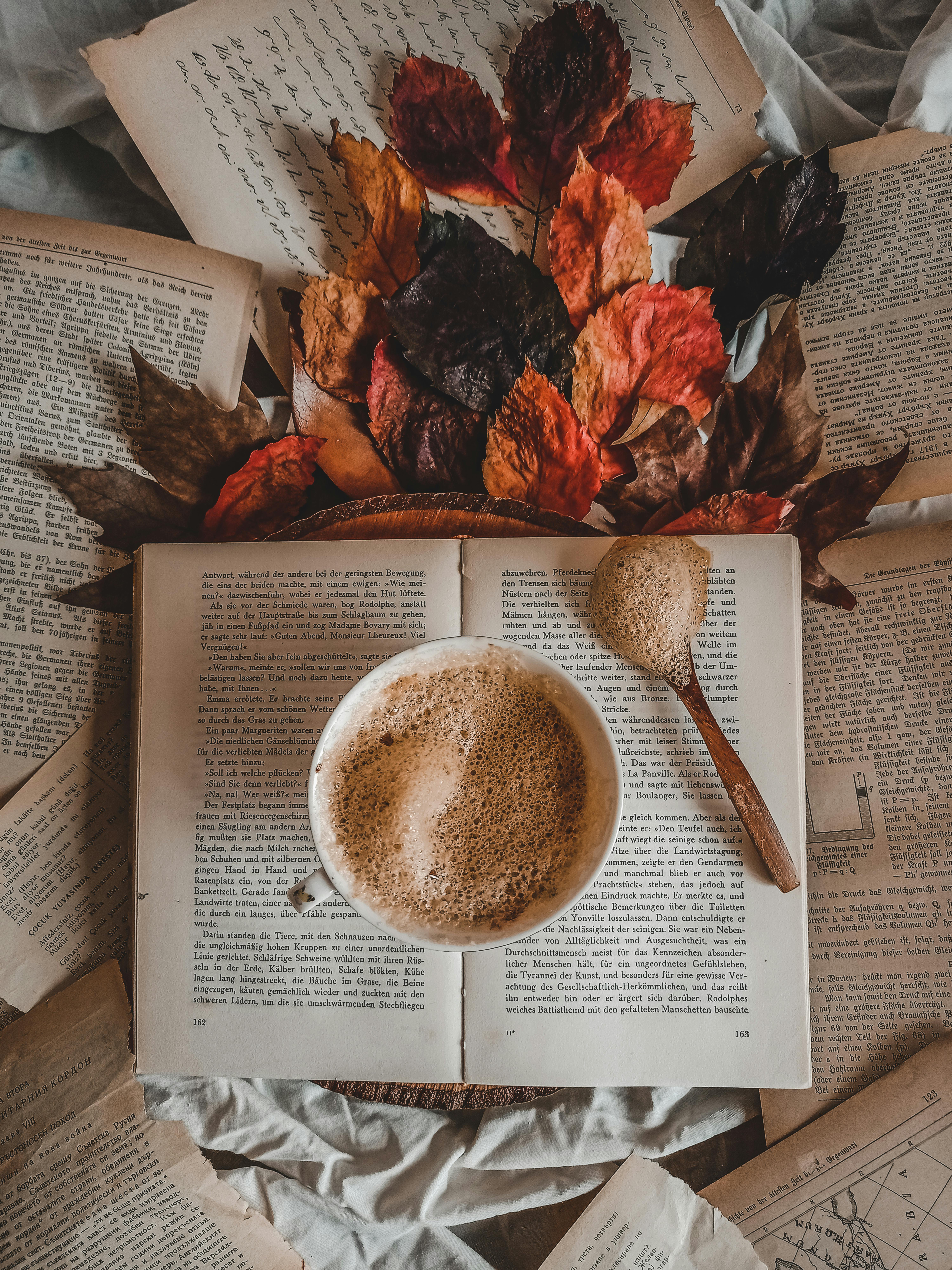 Black and Gray Ghostly Book Beside Three Dried Maple Leaves · Free ...