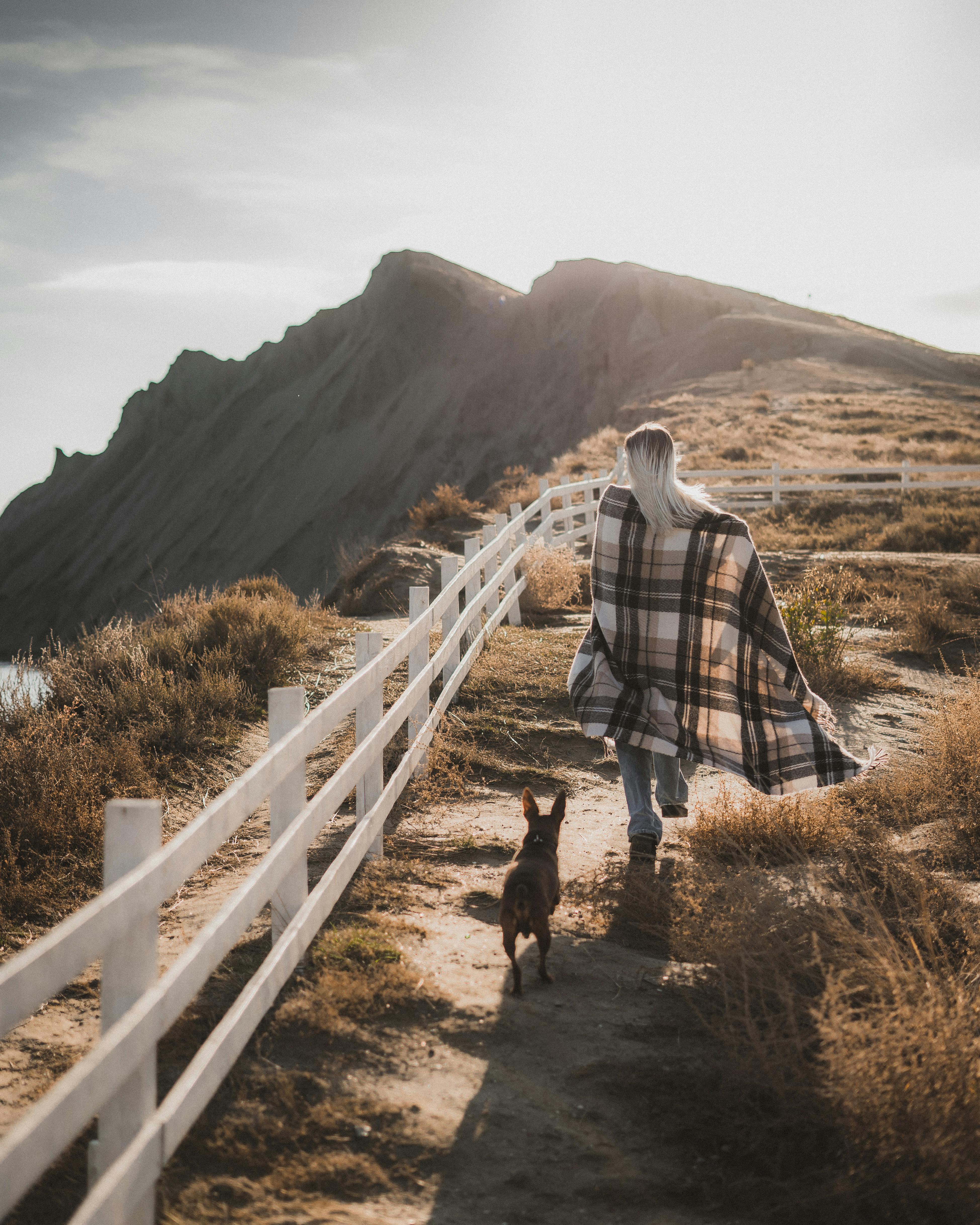 40,000+ Best Dog Walking Photos · 100% Free Download · Pexels Stock Photos