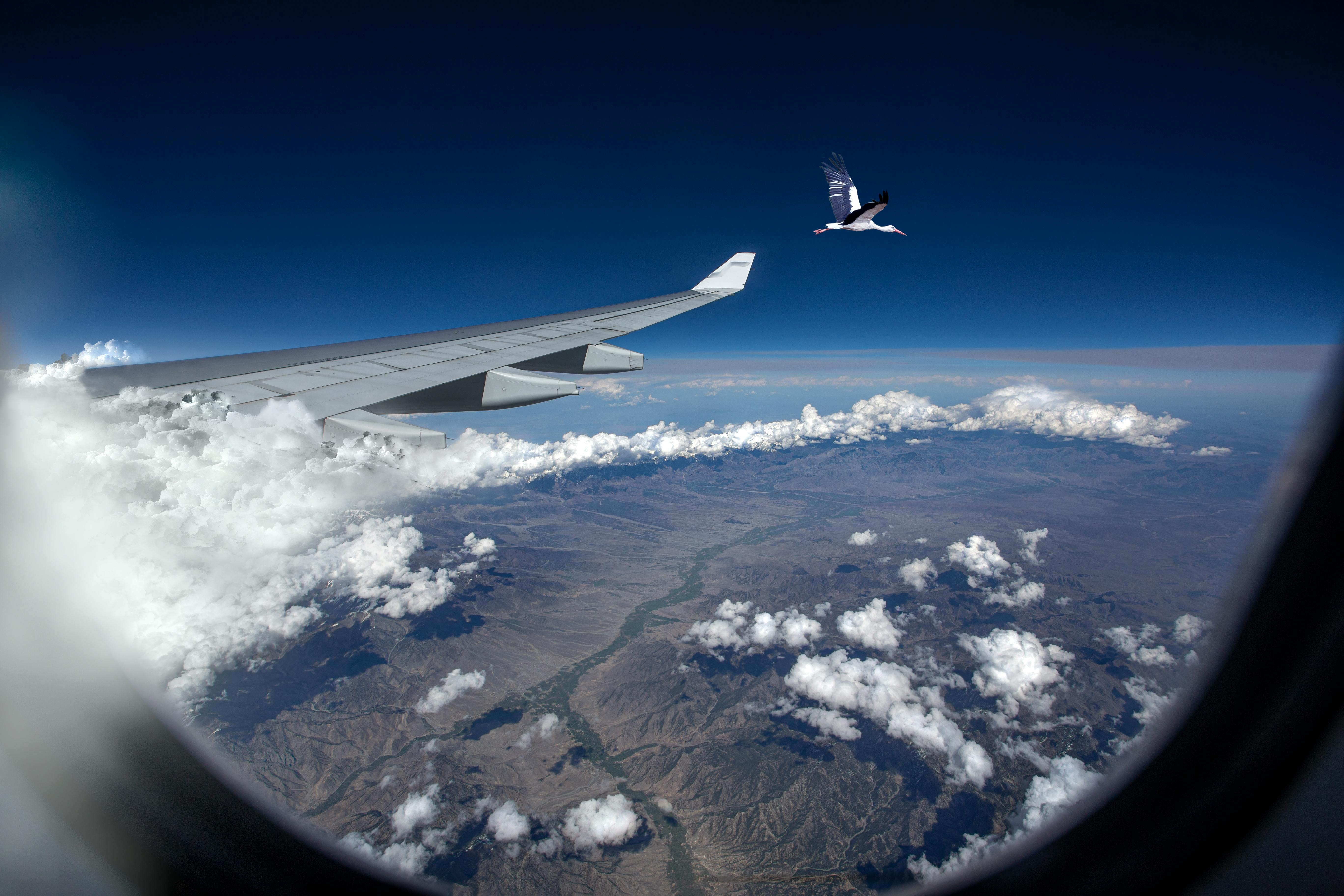 View of an Airplane Wing · Free Stock Photo