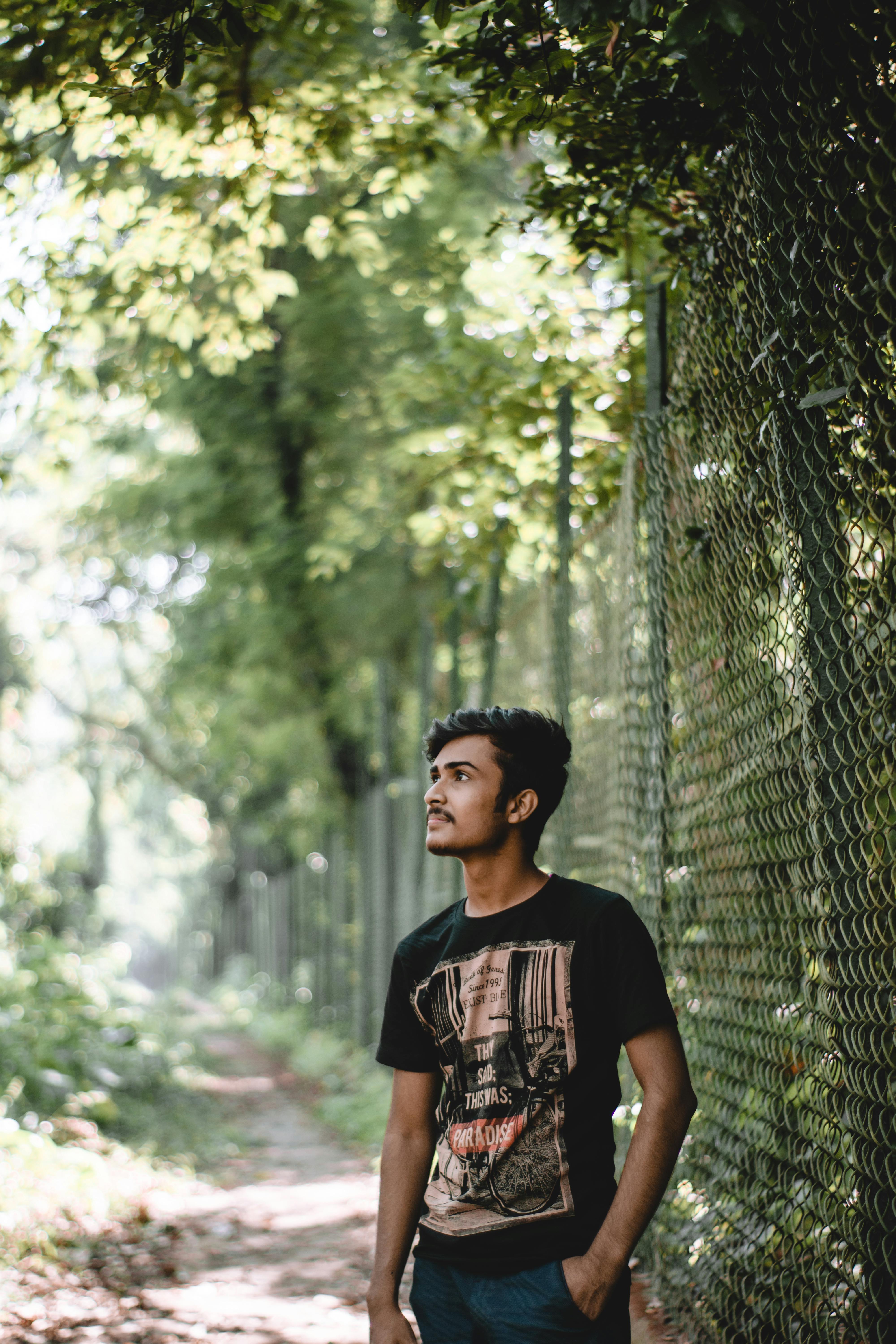 22+ Best Free Tre Stock Photos & Images · 100% Royalty-Free HD Downloads