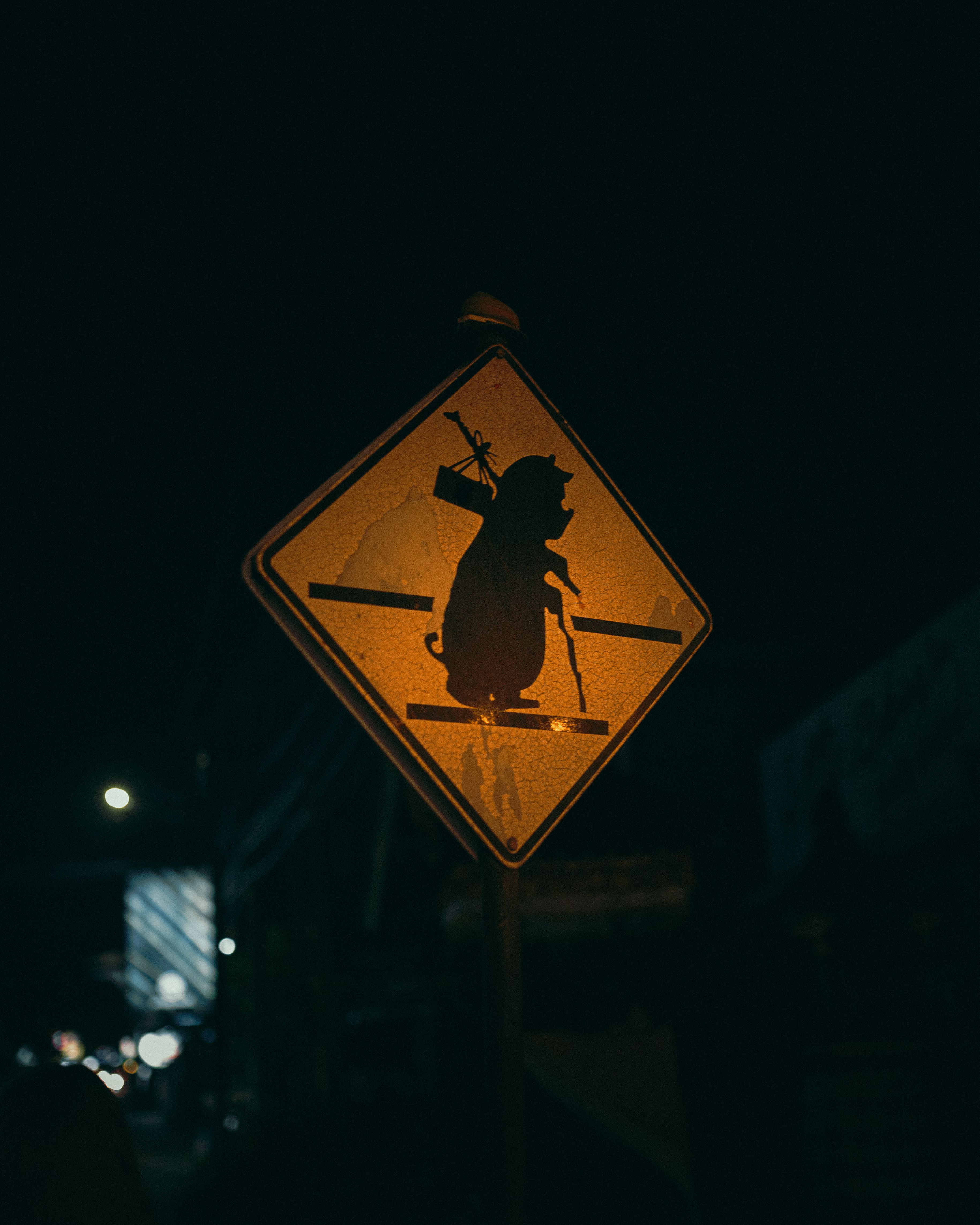 Photo of a Road Sign at Night · Free Stock Photo