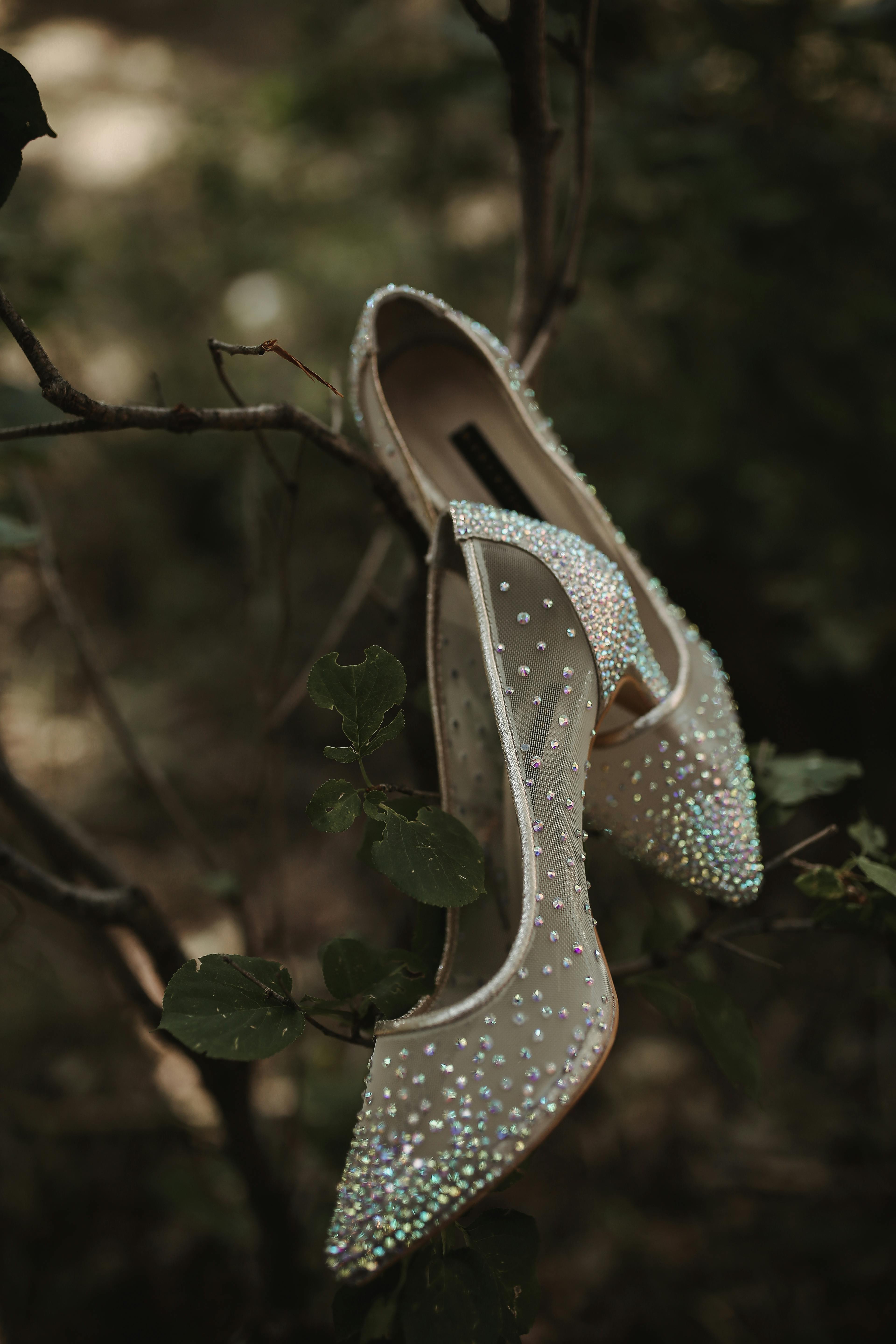 High Heels Shoes Hanging From Tree Branch · Free Stock Photo