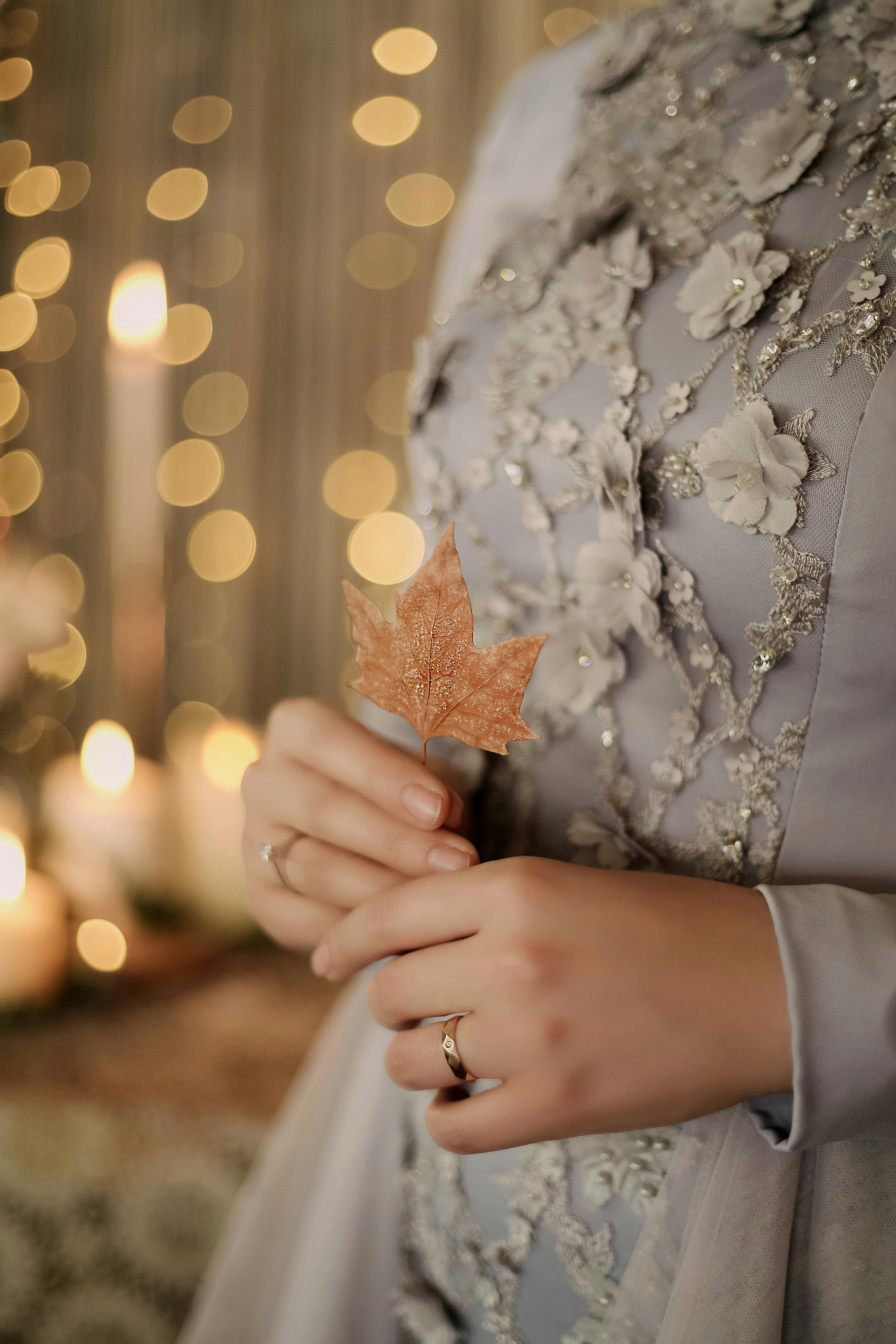 Rings For Design Photos, Download The BEST Free Rings For Design Stock ...