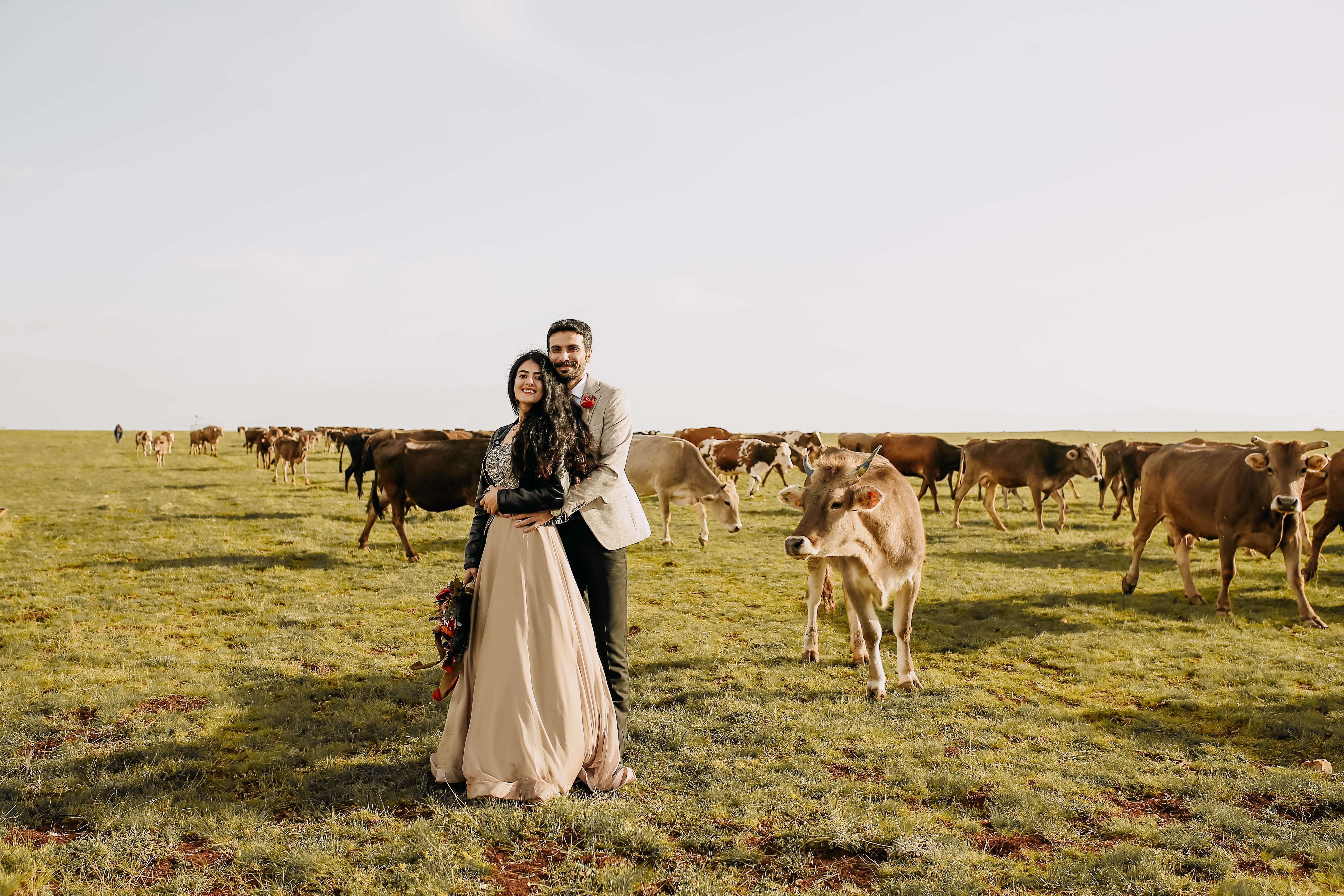 Couple Posing in the Farm with Animals · Free Stock Photo