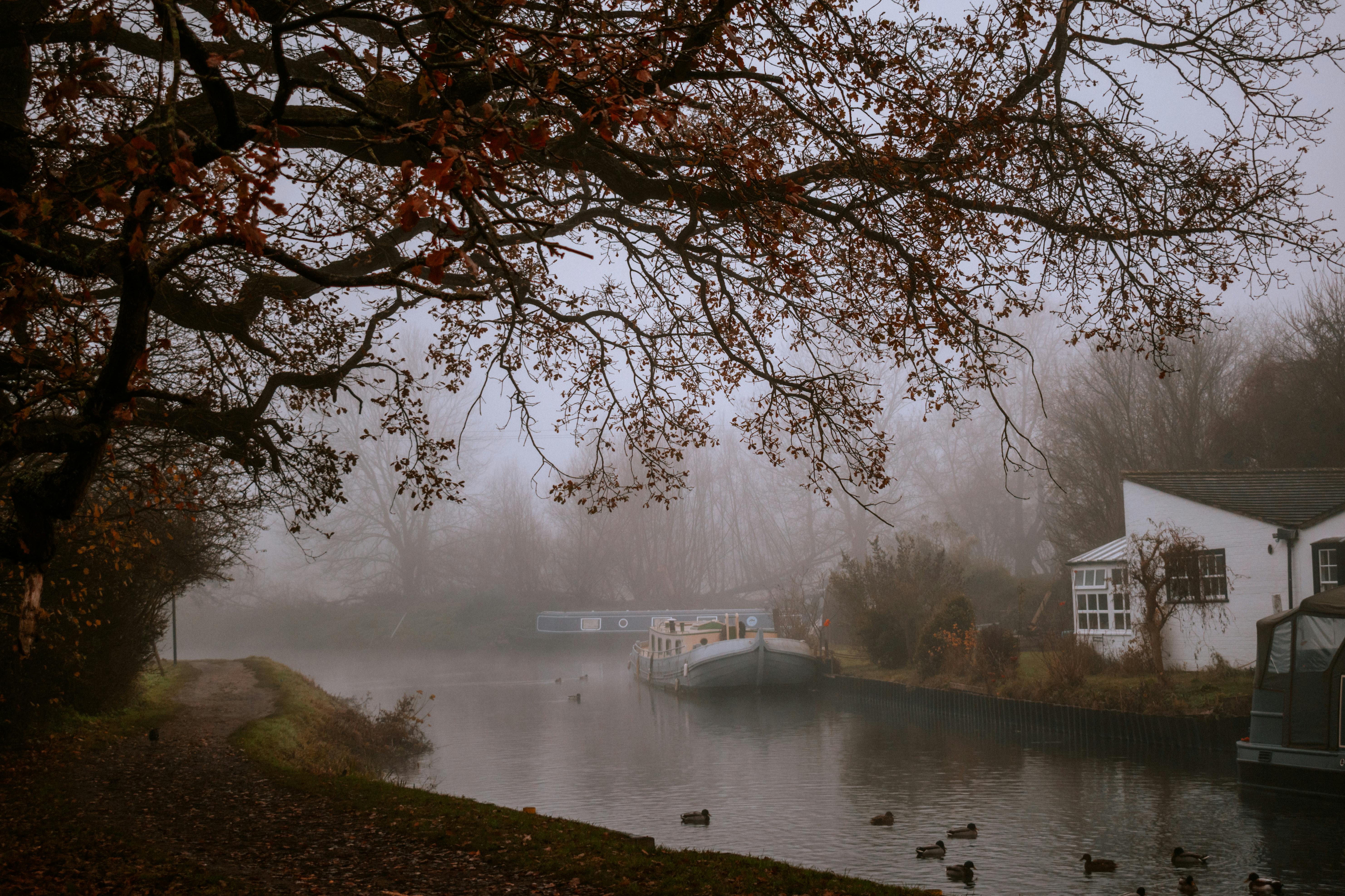 White Boat on River Near Trees · Free Stock Photo