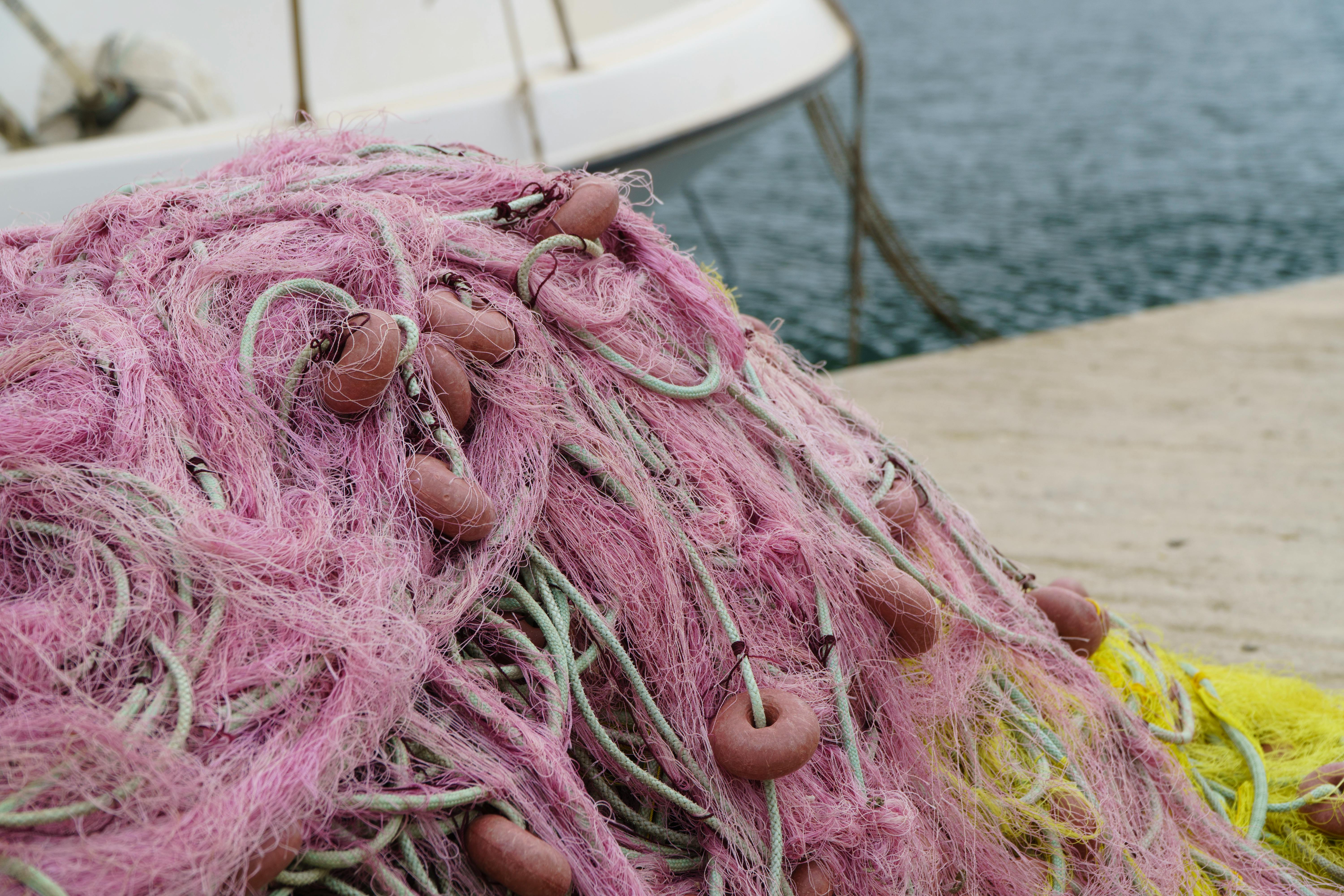 Free stock photo of fishing, fishing boat, fishing net