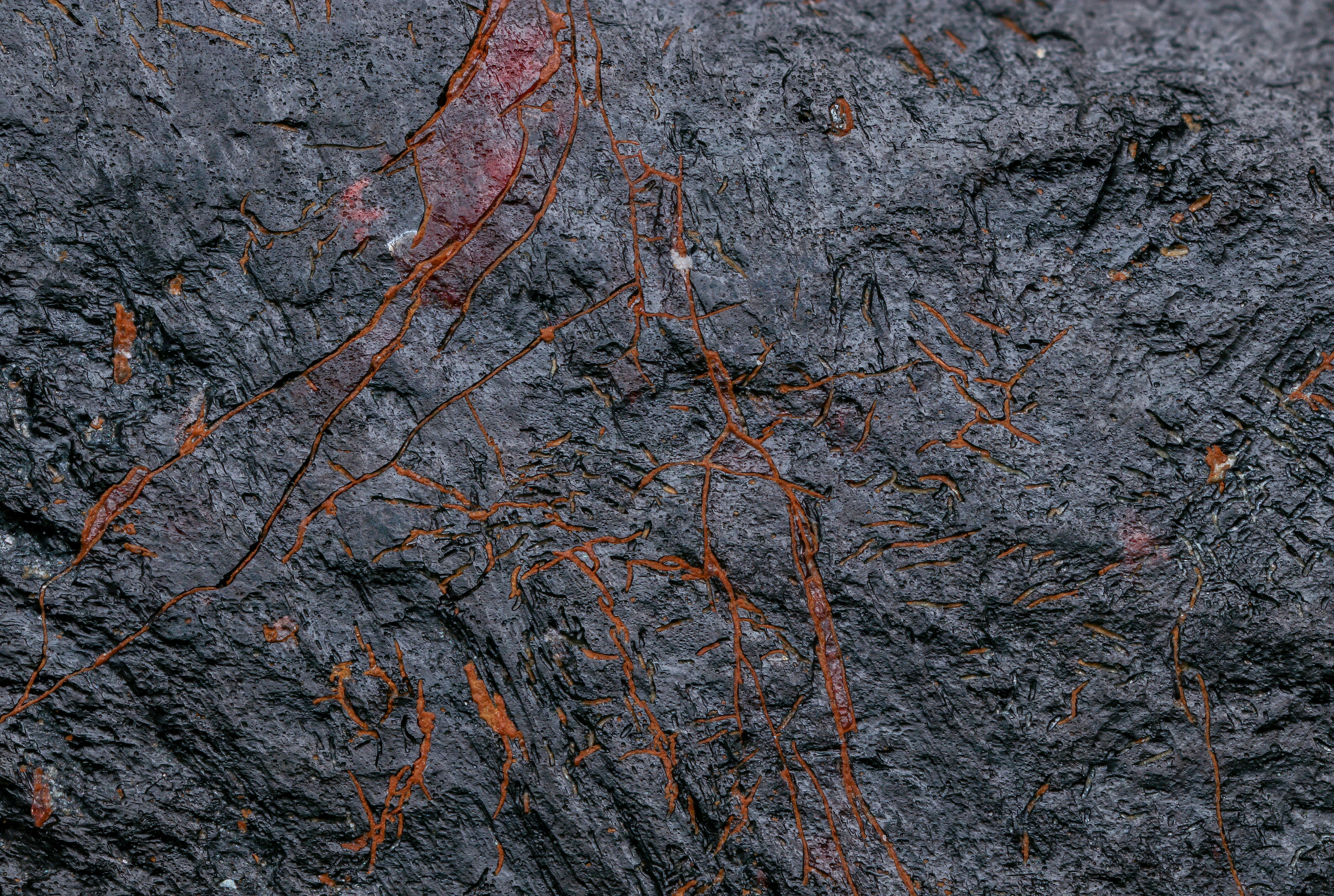 Macro Photography of Surface of a Lava · Free Stock Photo