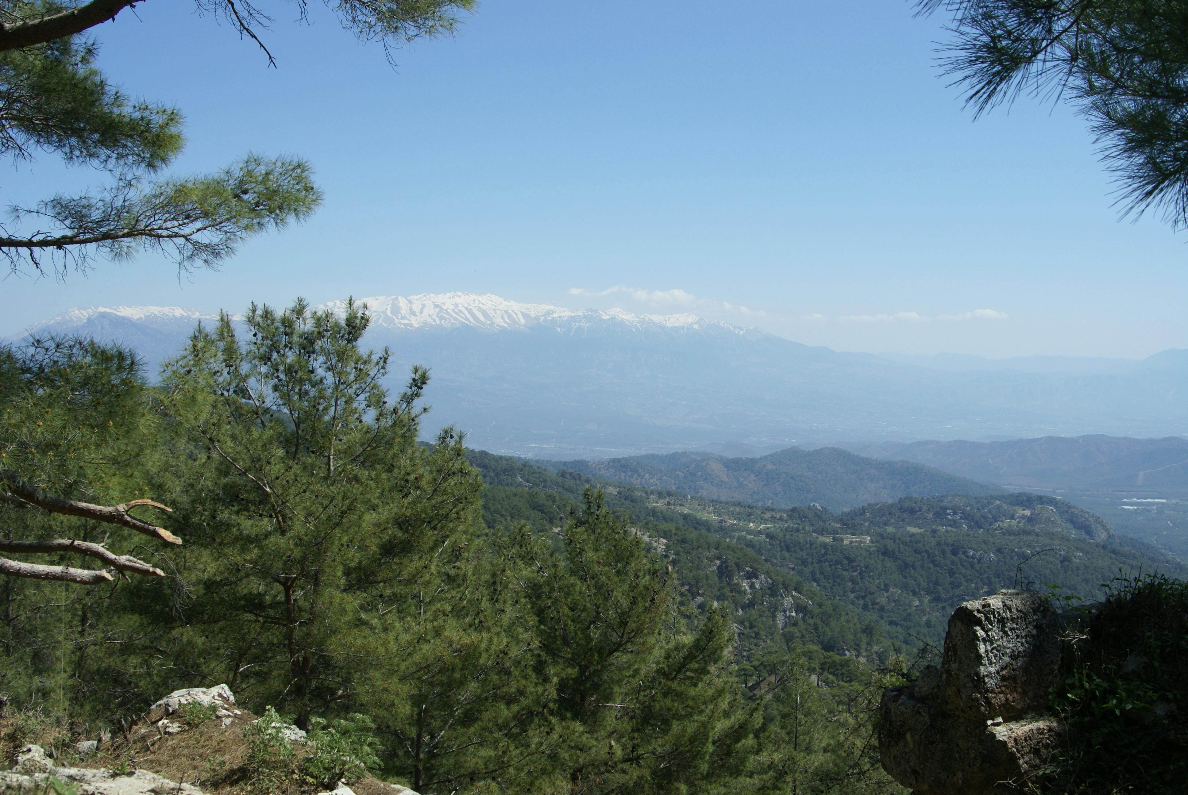 Postcards 10 Photos & Videos Collected by David Winstanley