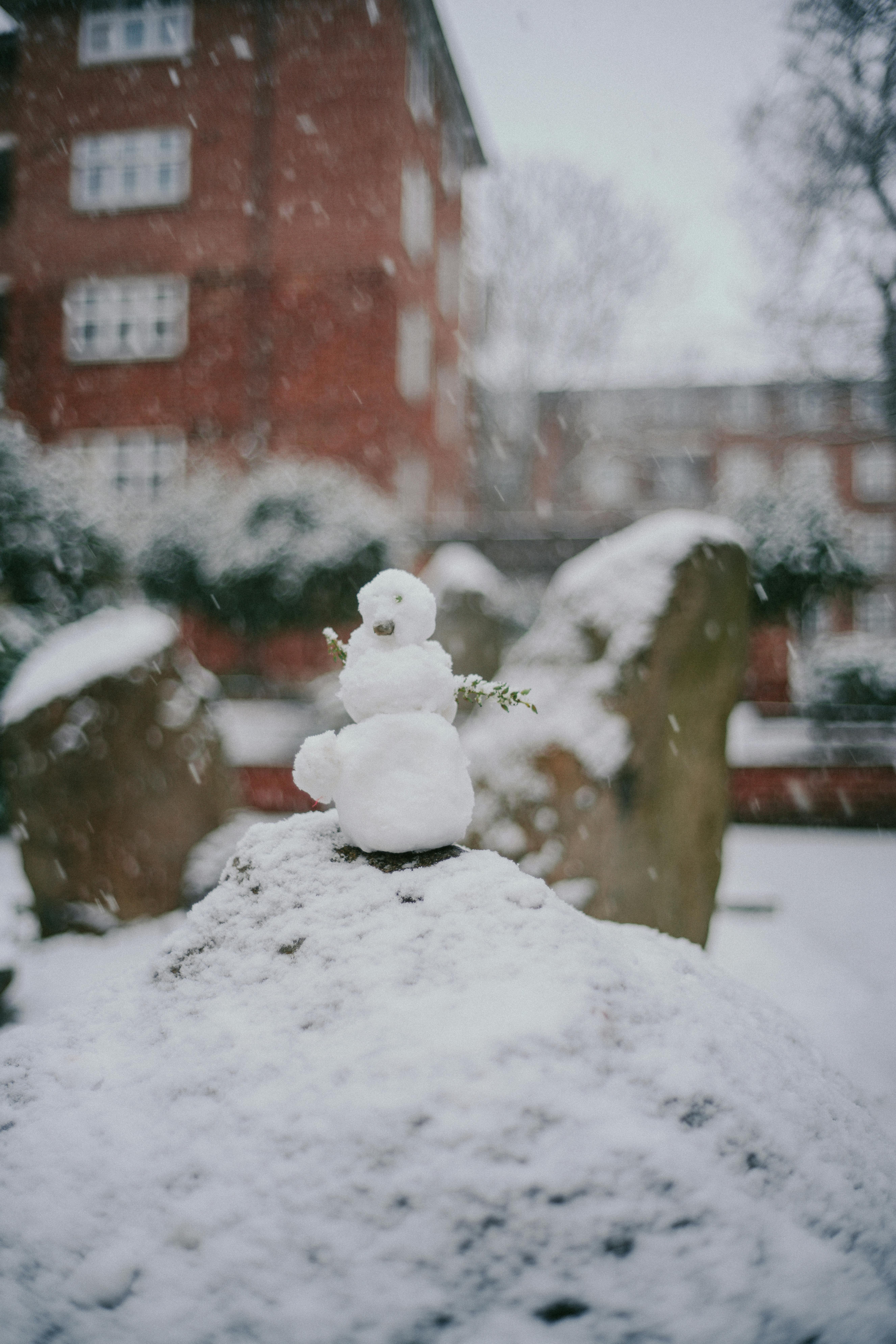 Snowman With Camera · Free Stock Photo