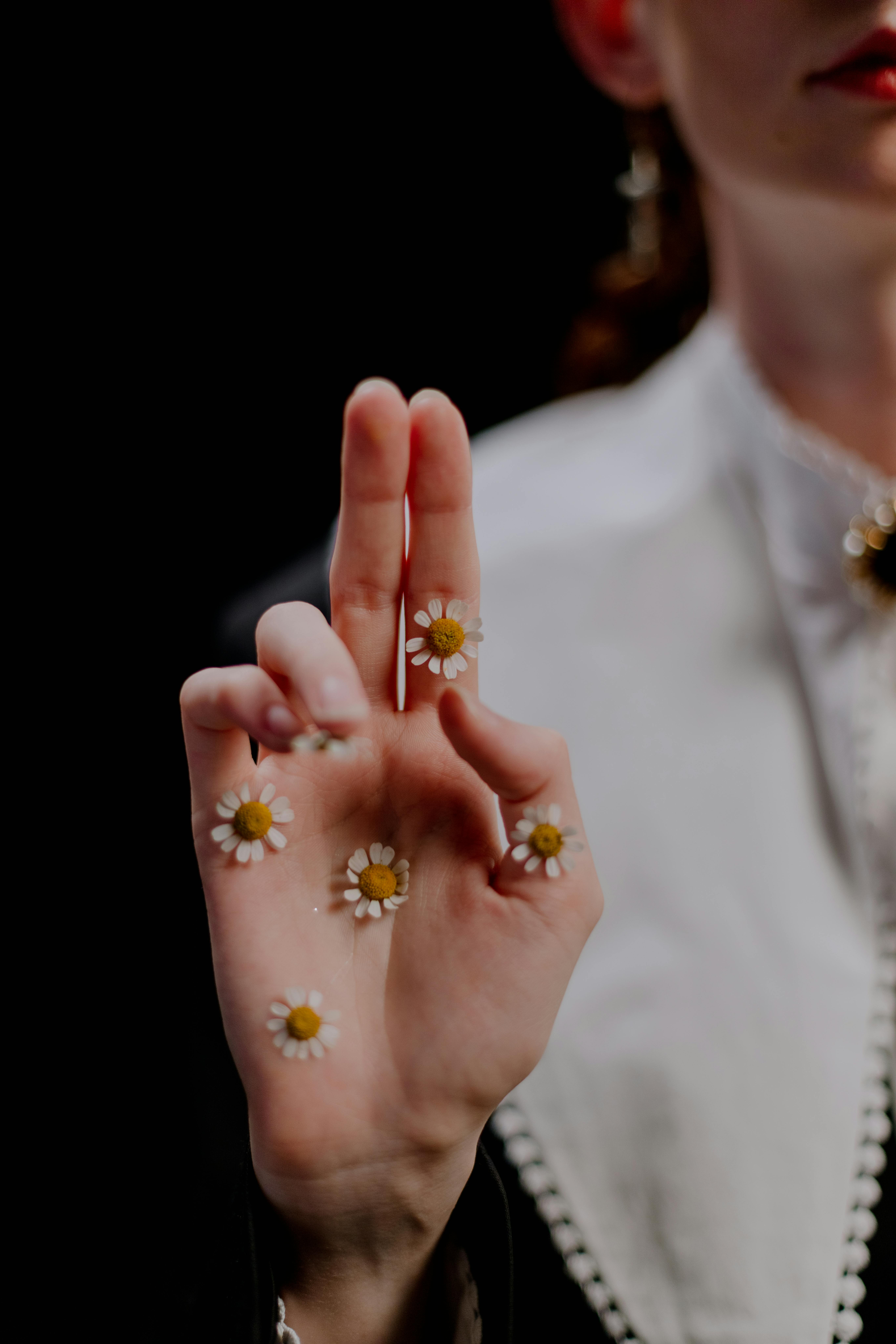 Person Handing Over a Flower · Free Stock Photo