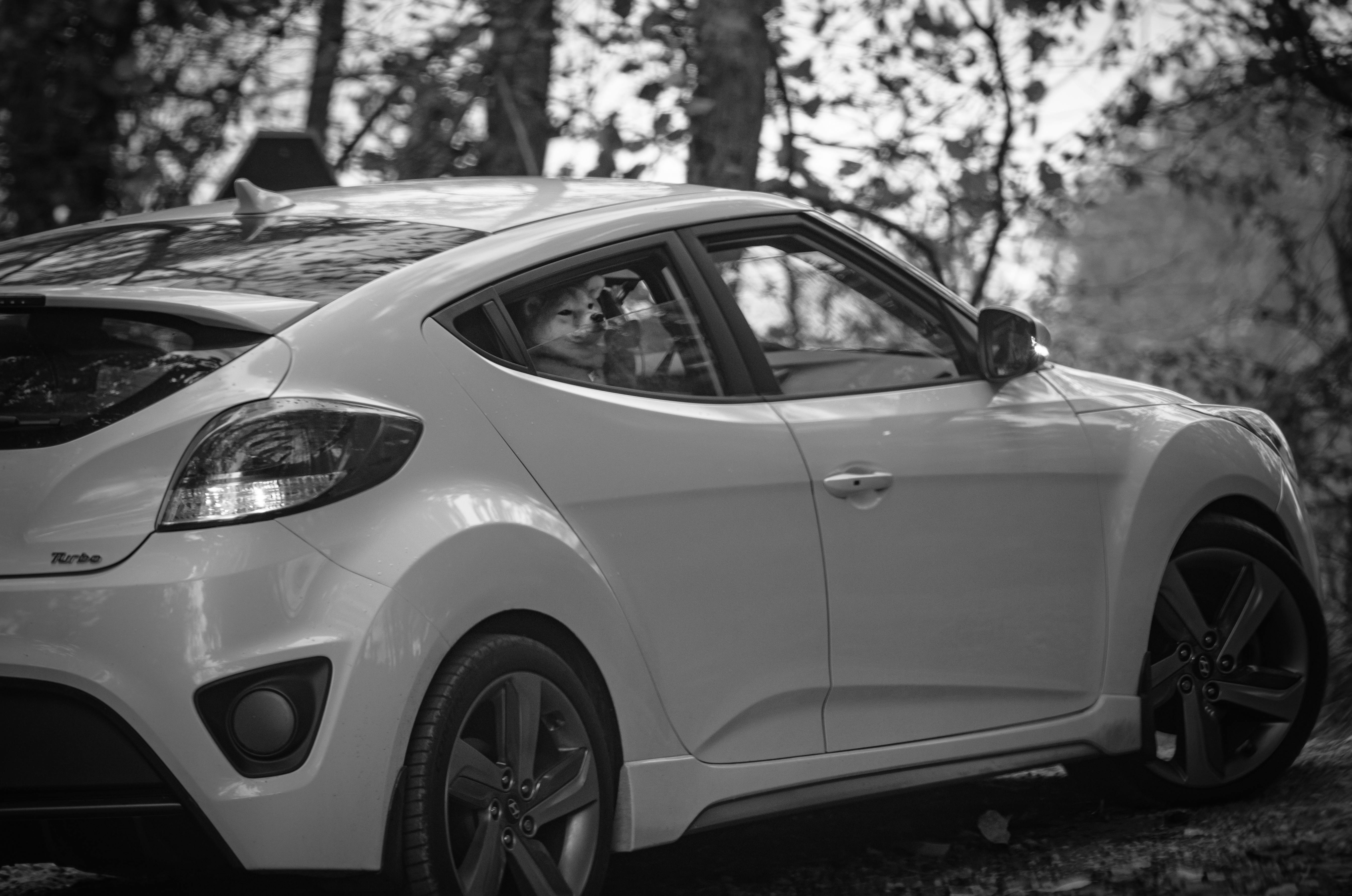 Car Backing Out Photos, Download The BEST Free Car Backing Out Stock ...