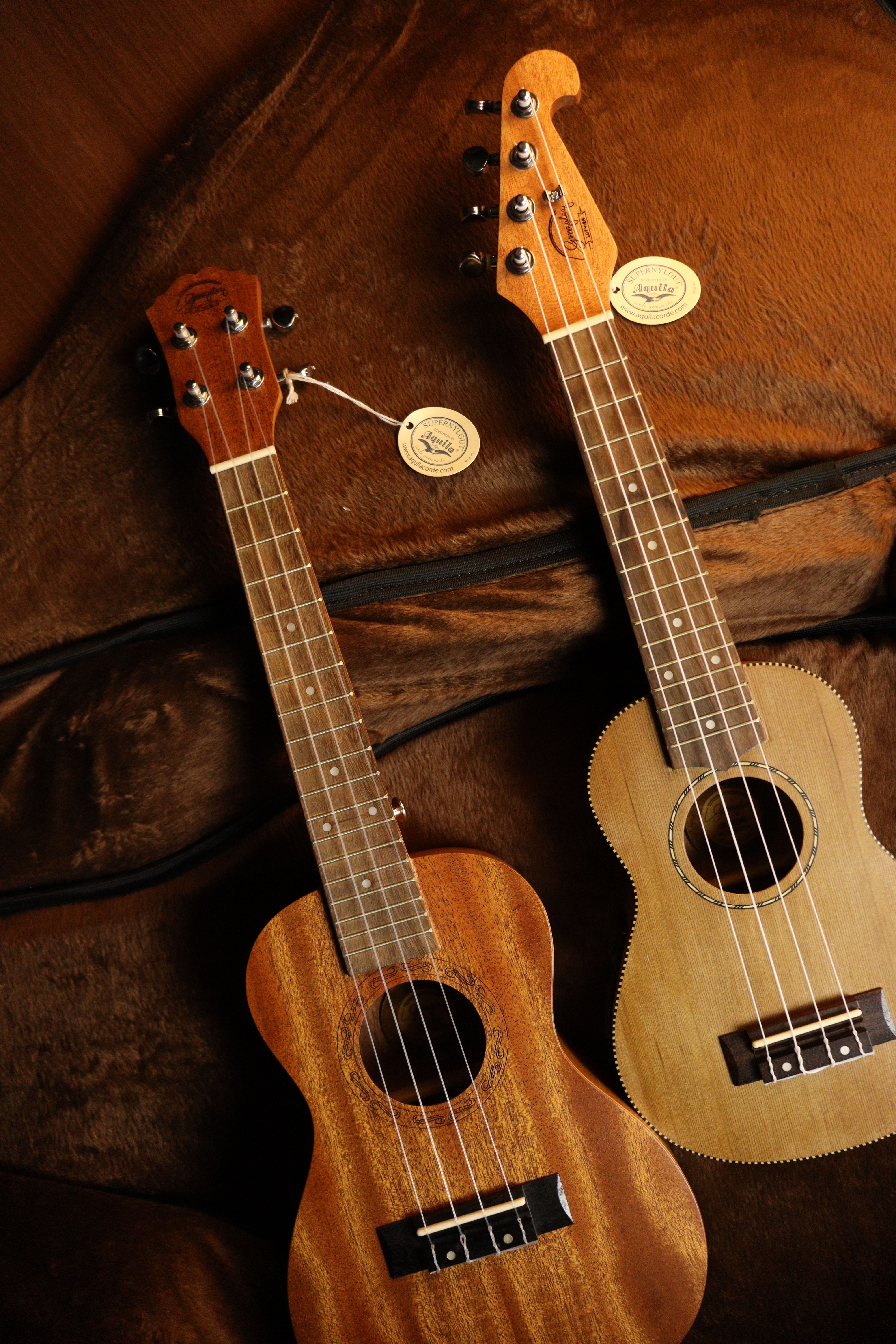 Compact Instruments Photos, Download The BEST Free Compact Instruments ...