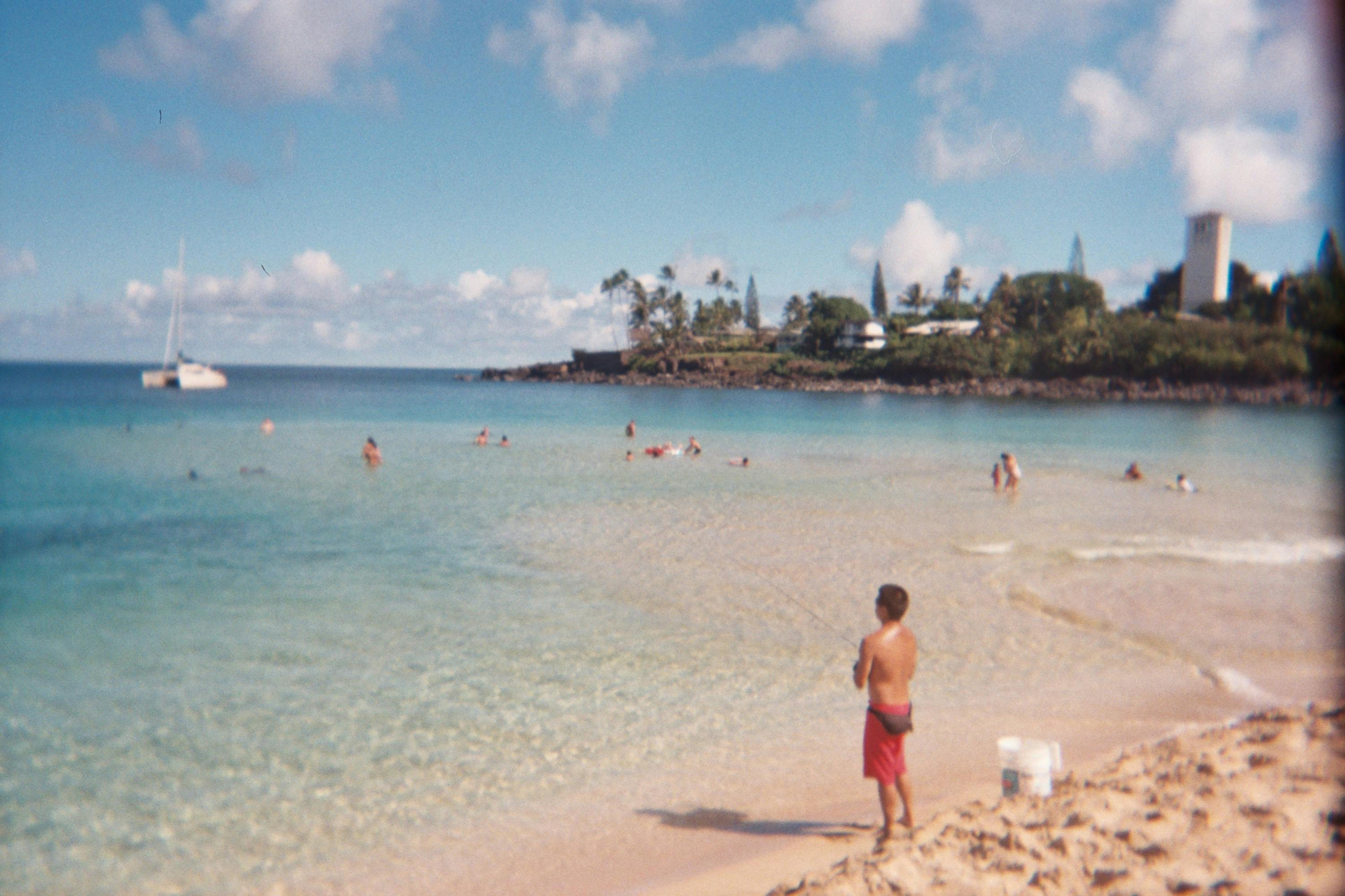 A Man Sitting on a Branch by the Seaside · Free Stock Photo