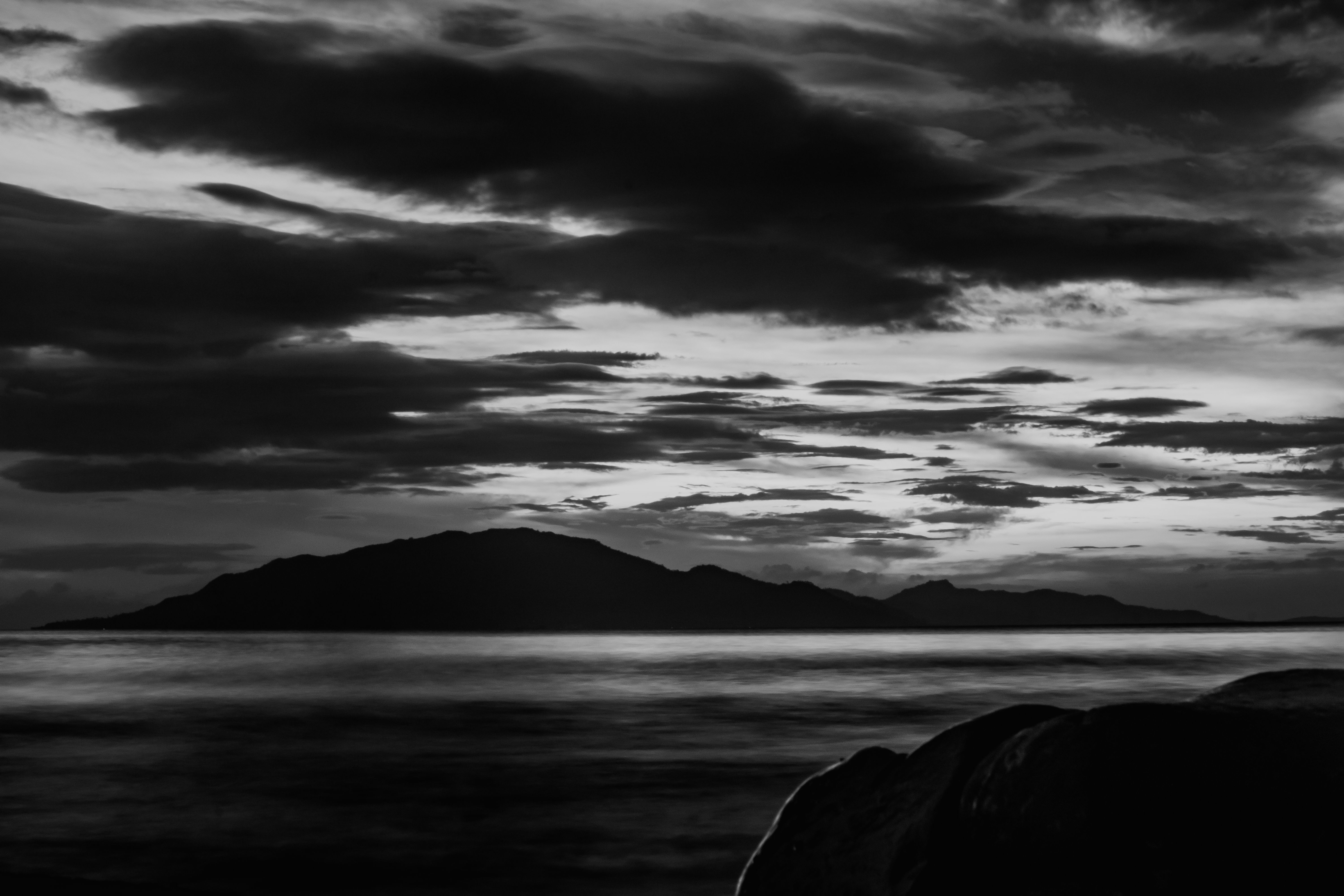 Grayscale Photo Of Tree · Free Stock Photo
