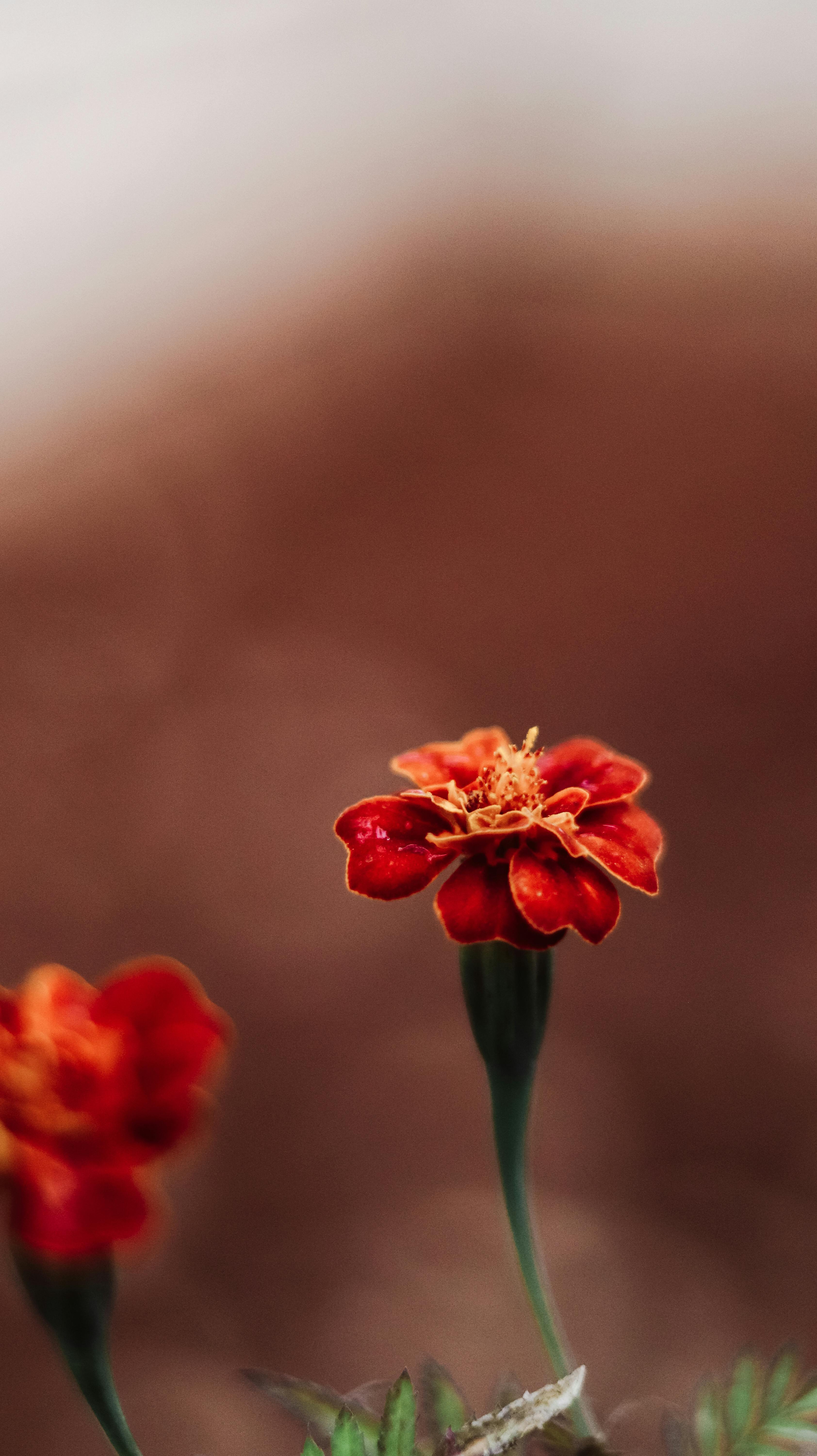 Abdullah Rasheed - 사진