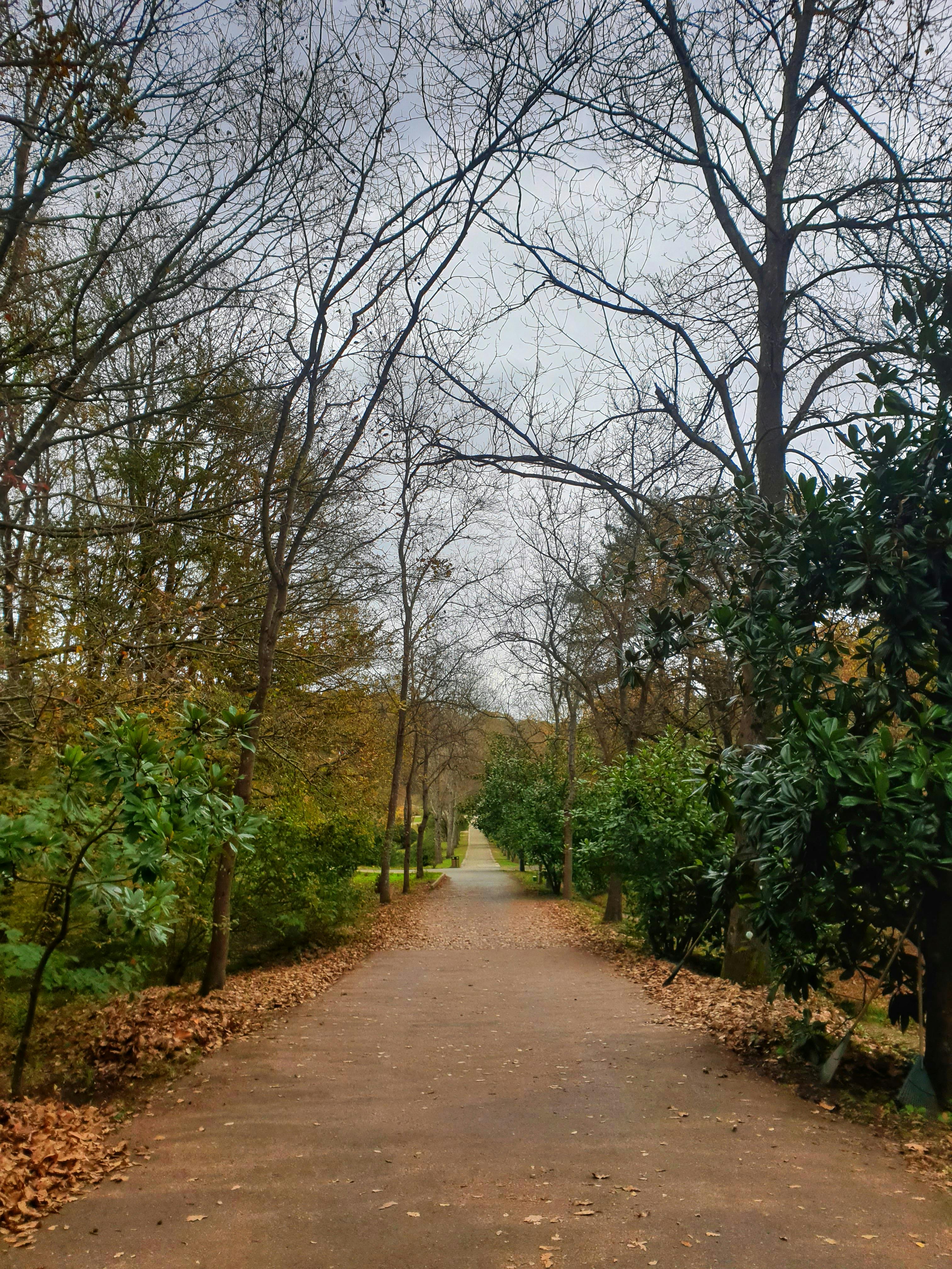 Photo Of An Empty Road During Daytime · Free Stock Photo