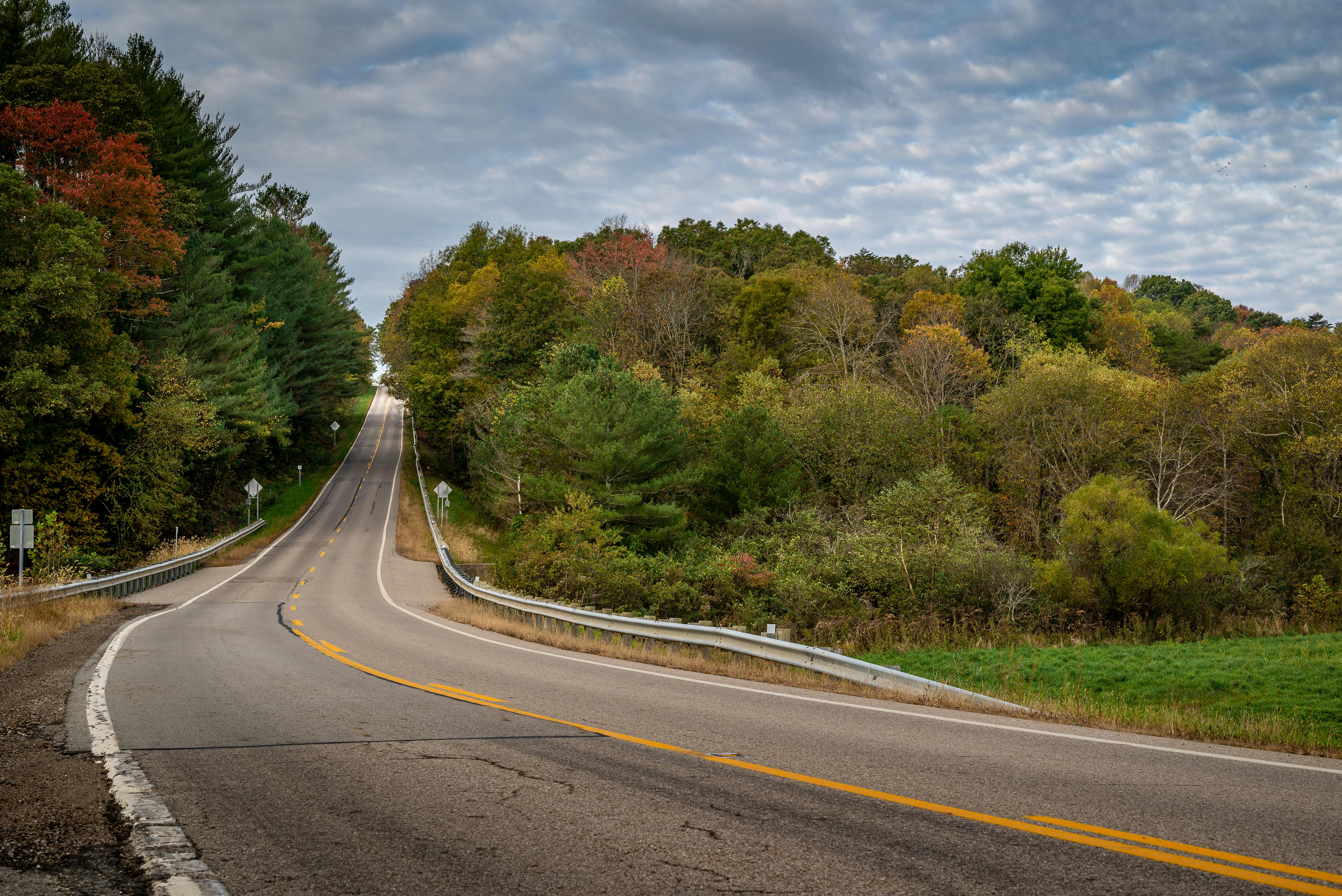 Photography of Asphalt Road Near Trees · Free Stock Photo