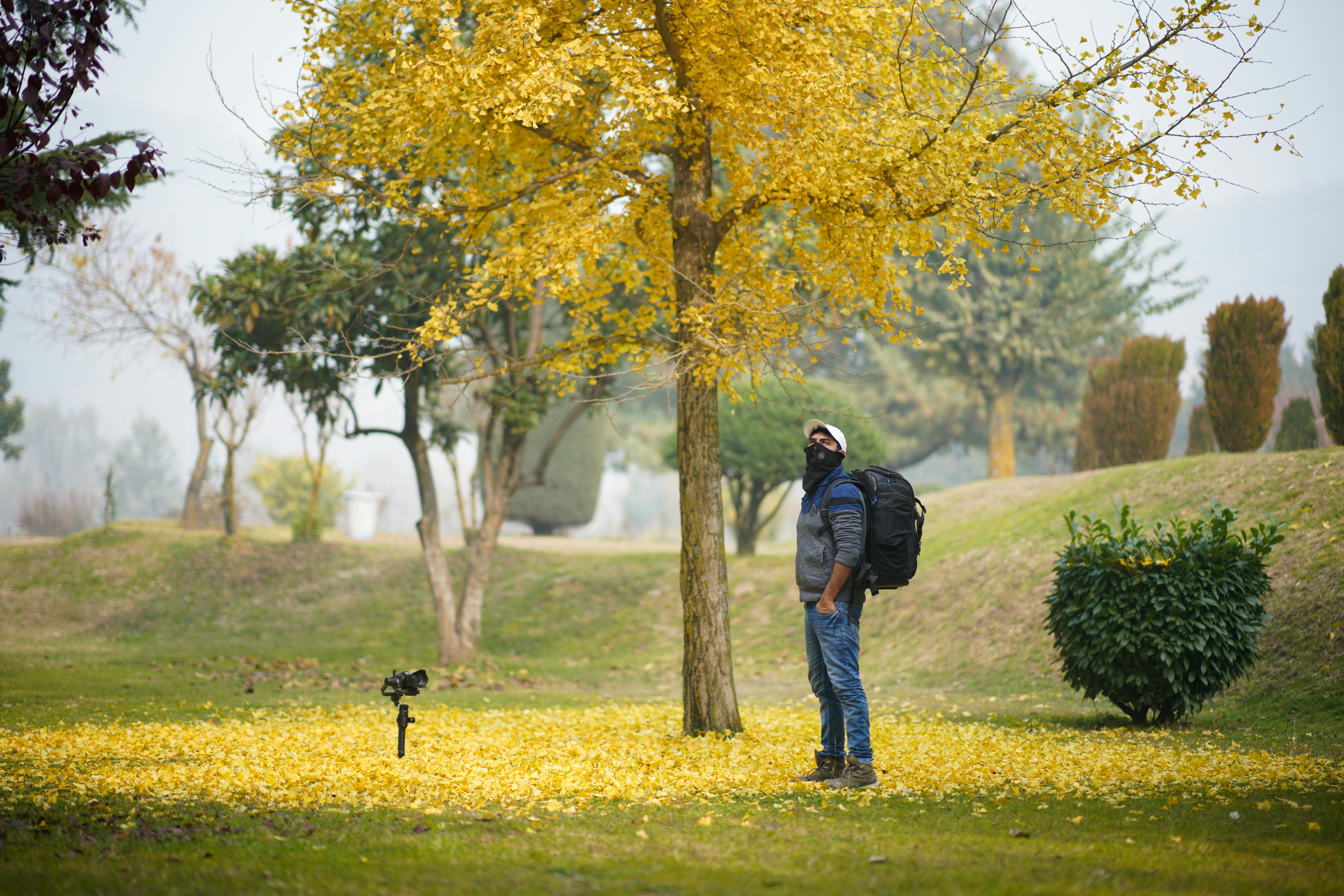 Man Standing on Fallen Leaves of an Autumn Tree on Grassland · Free ...
