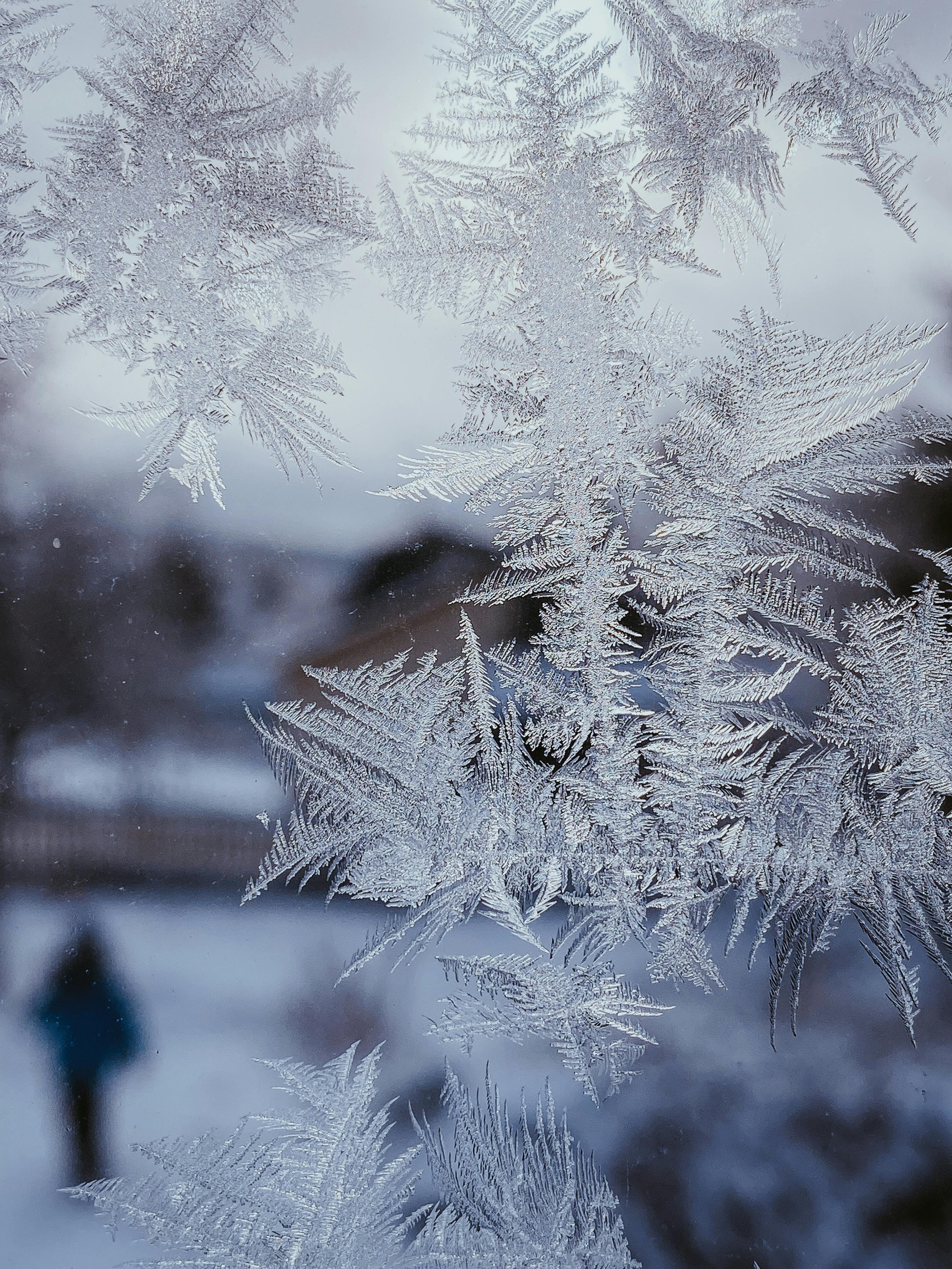 Falling Snowflakes during Night Time · Free Stock Photo