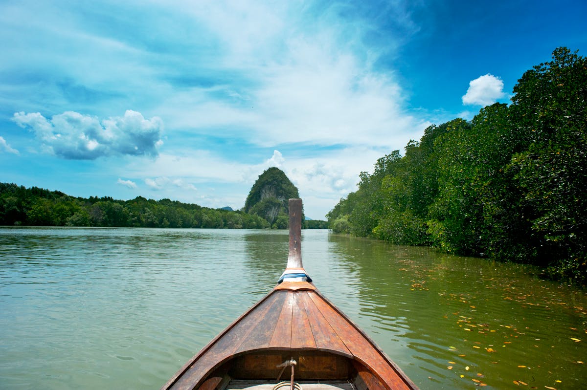 Canoe Photos, Download The BEST Free Canoe Stock Photos & HD Images