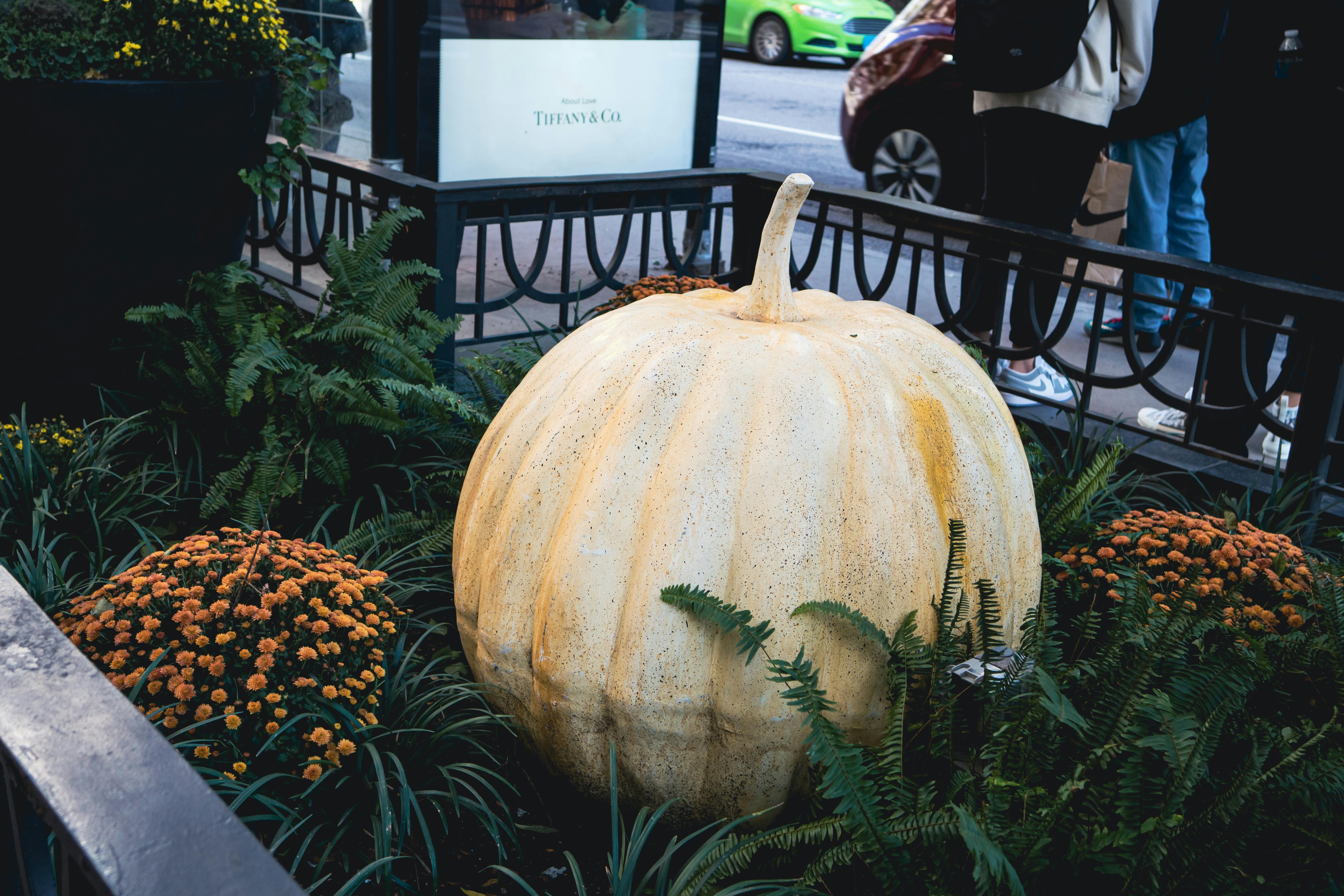 Pumpkin Statue Surrounded by Green Plants · Free Stock Photo